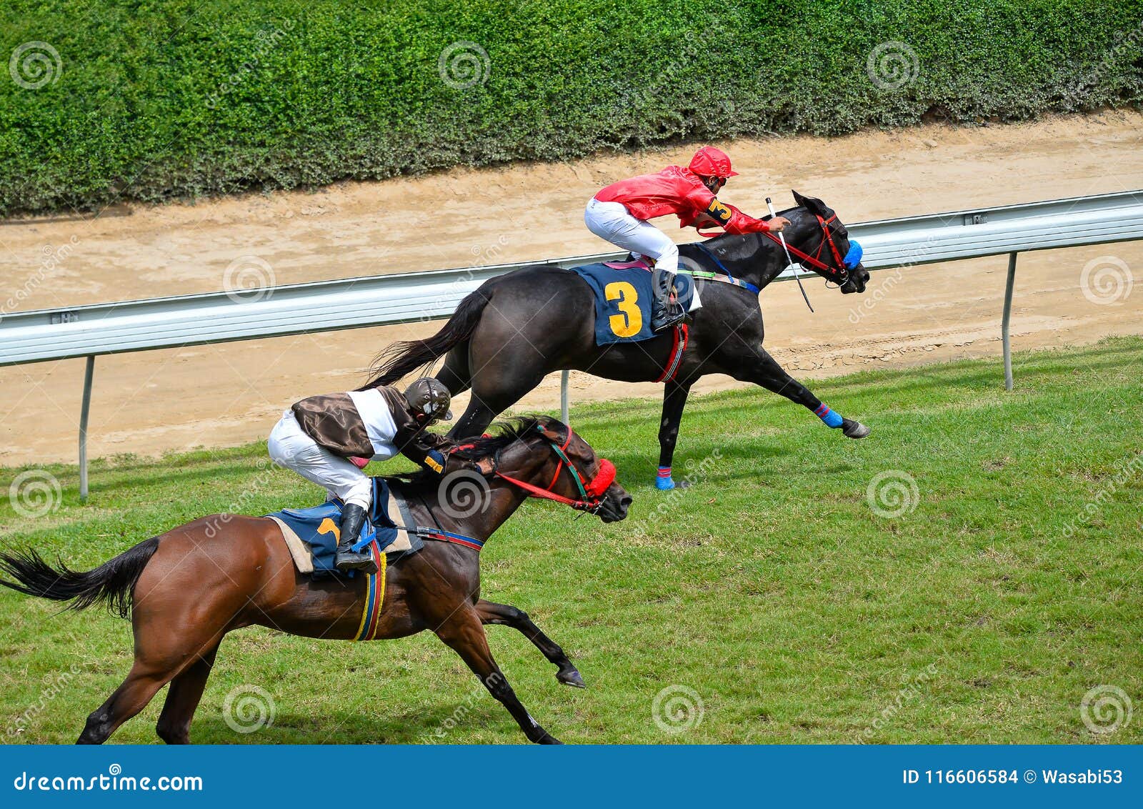 Horses are Running and Speeding Editorial Stock Image - Image of rider ...