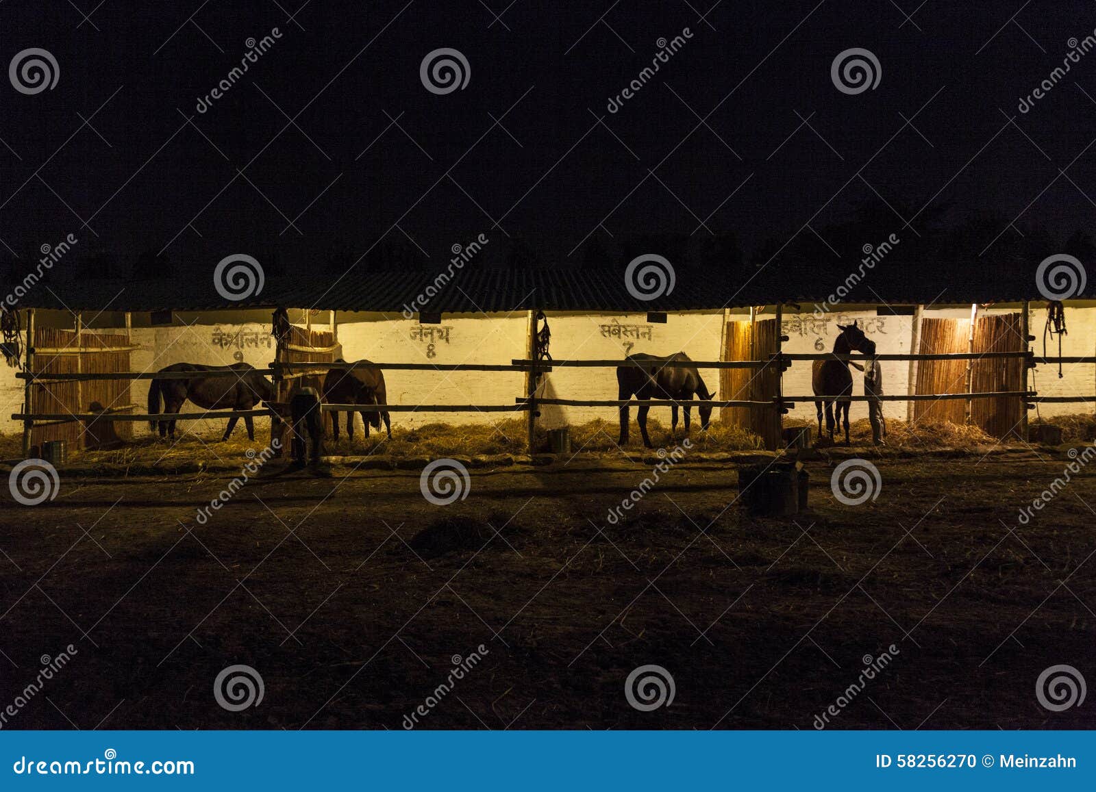 Horses in the Stable at Night Stock Photo - Image of person, home: 58256270