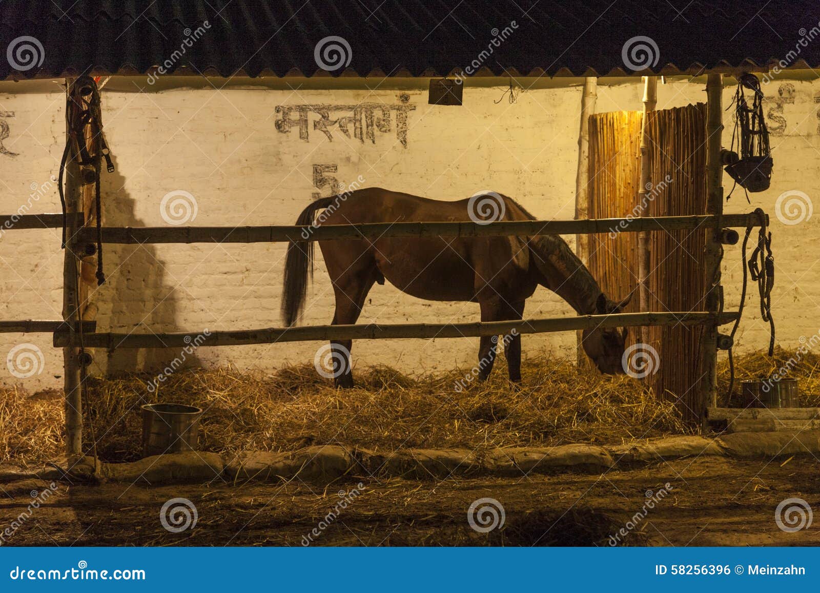 Horses in the Stable at Night Stock Photo - Image of night, nature ...