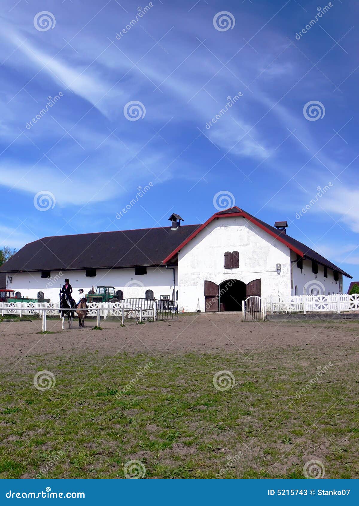 Horses stud farm stock image. Image of outside, paddock - 5215743