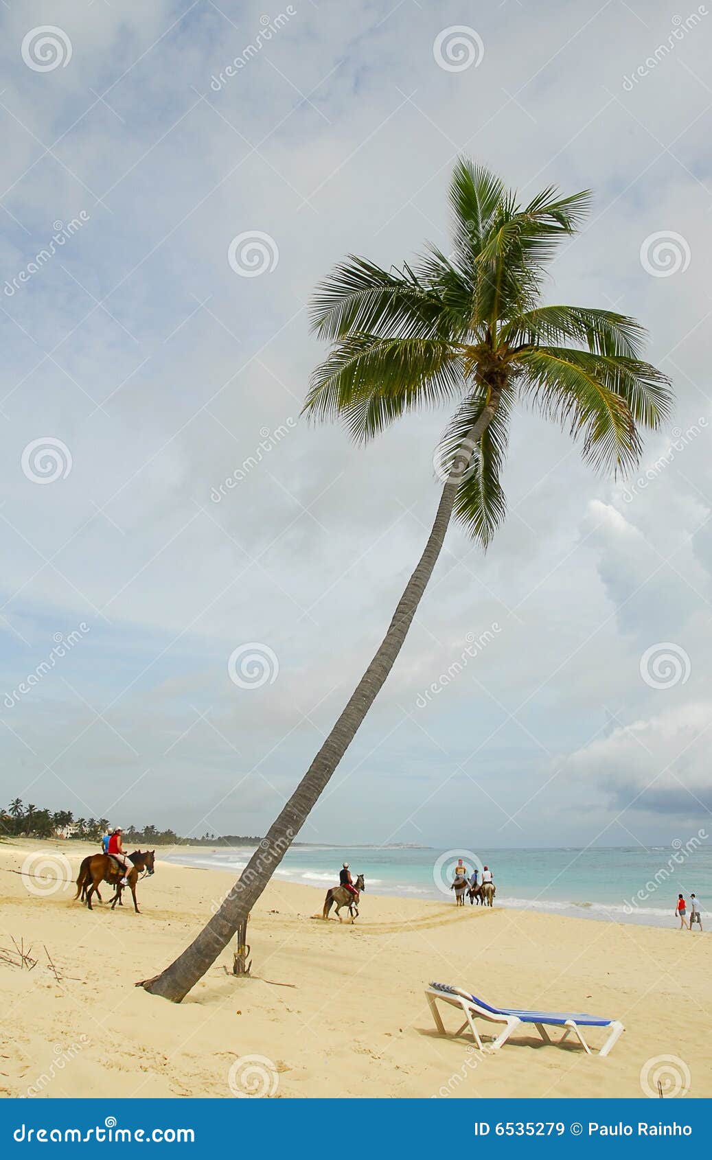 Horses on the Tropical Beach Stock Image - Image of holiday, activity ...