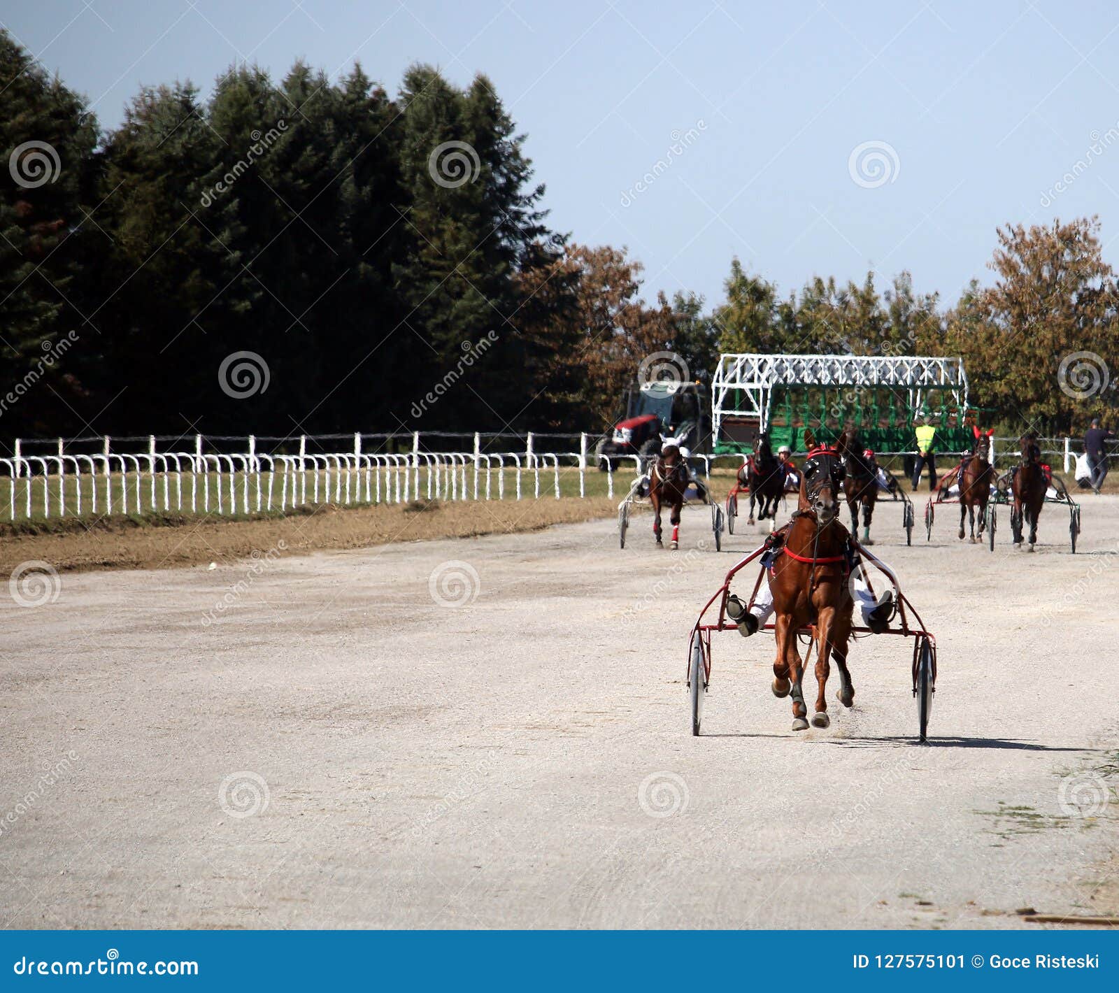 Horses Trotter Breed in Motion Harness Racing Editorial Photo - Image ...