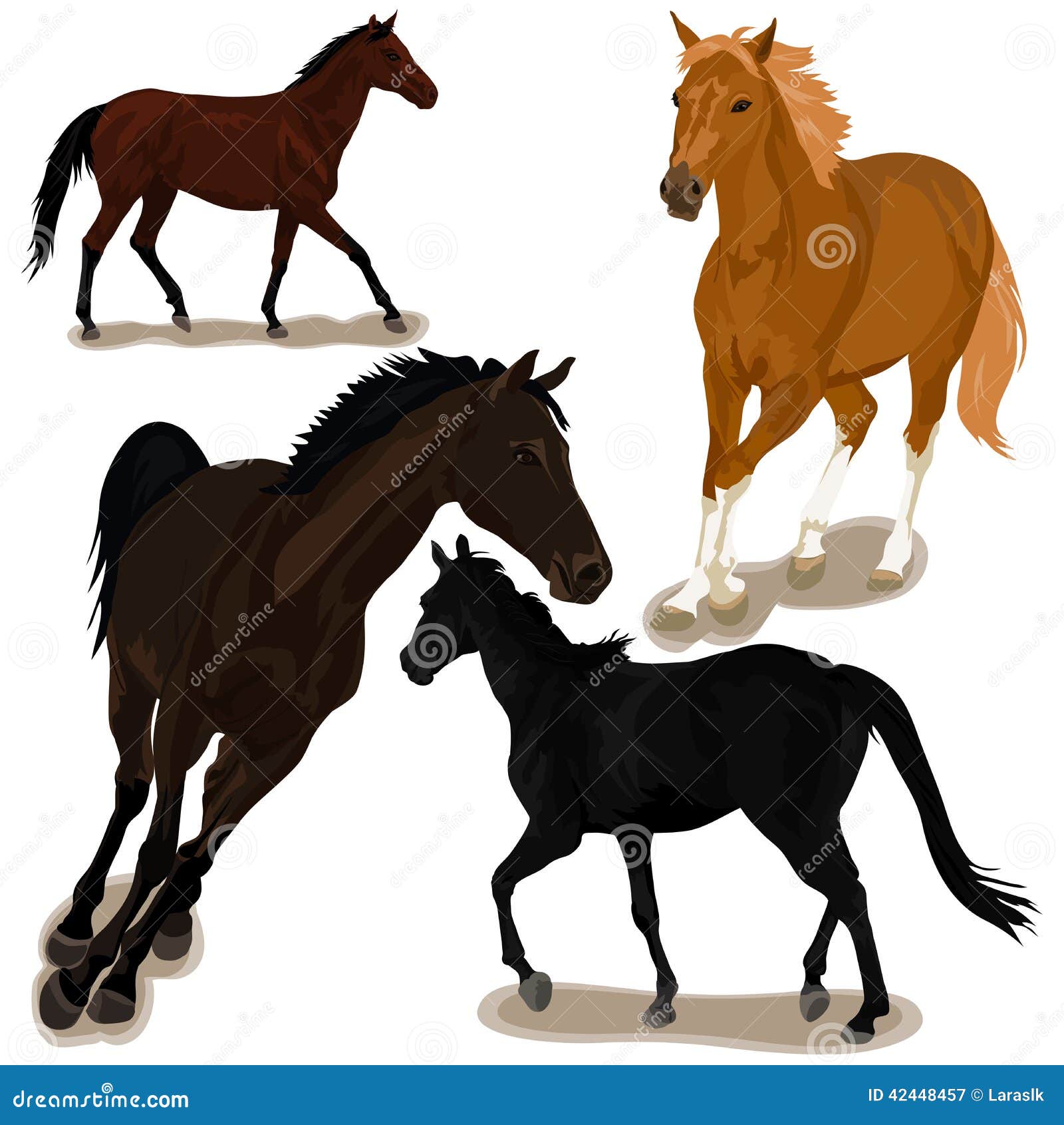 Horses stock vector. Illustration of paddock, horse, purebred - 42448457