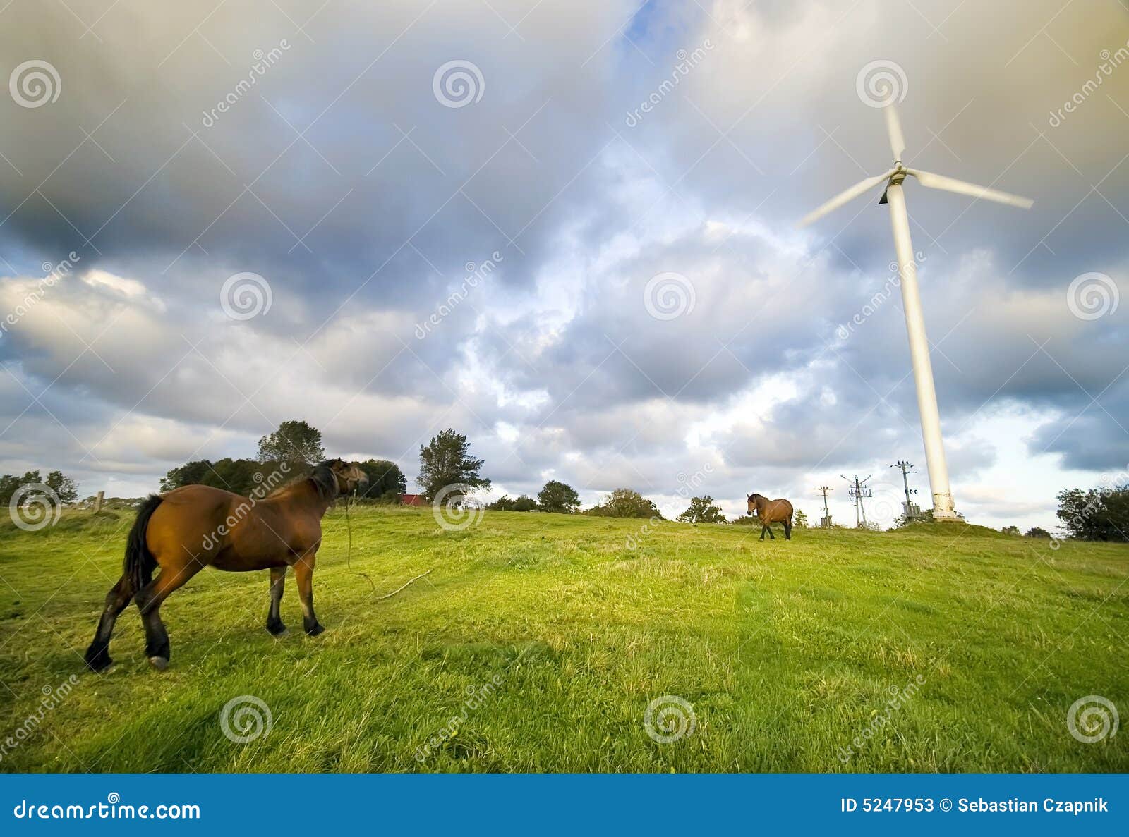 Horses with wind turbine stock image. Image of wind, looking - 5247953