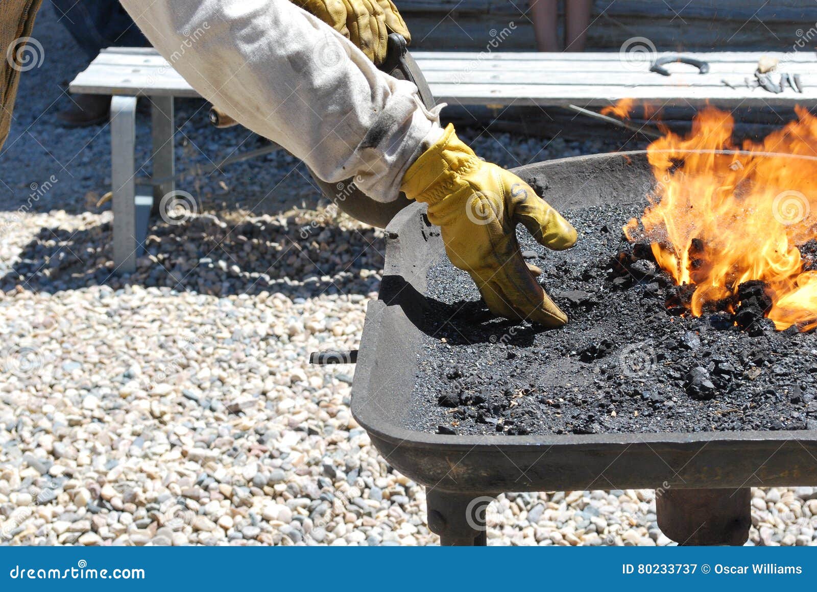 Horseshoe forging. stock image. Image of smithy, grooming - 80233737