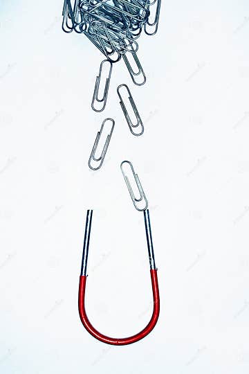 Horseshoe Magnet Attracting Paperclips in Studio Stock Image - Image of ...