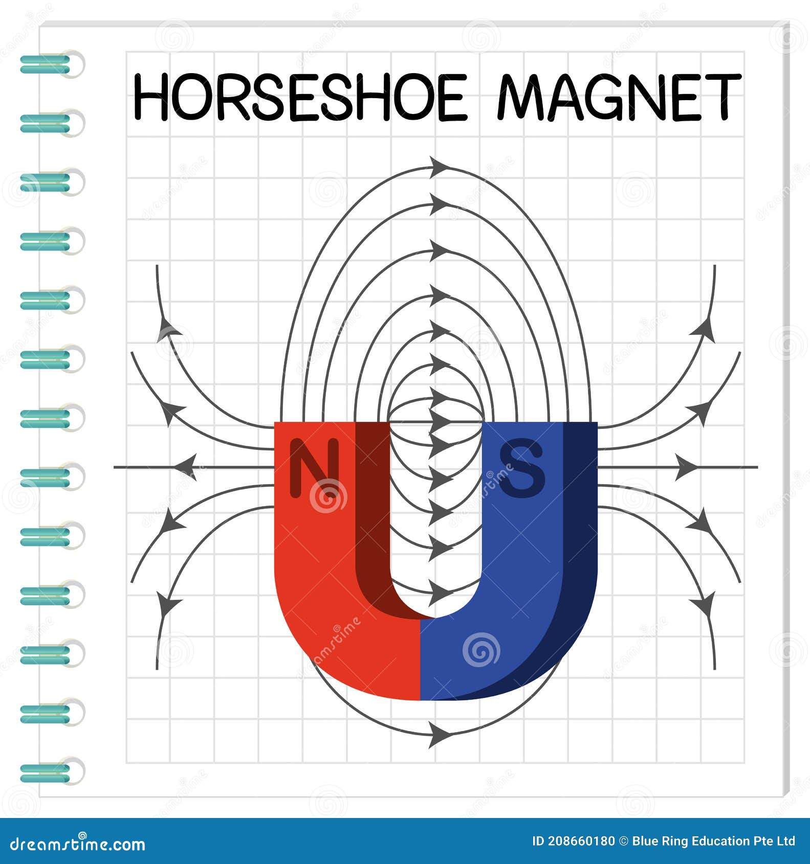 Horseshoe Magnet Diagram for Education Stock Vector - Illustration of ...