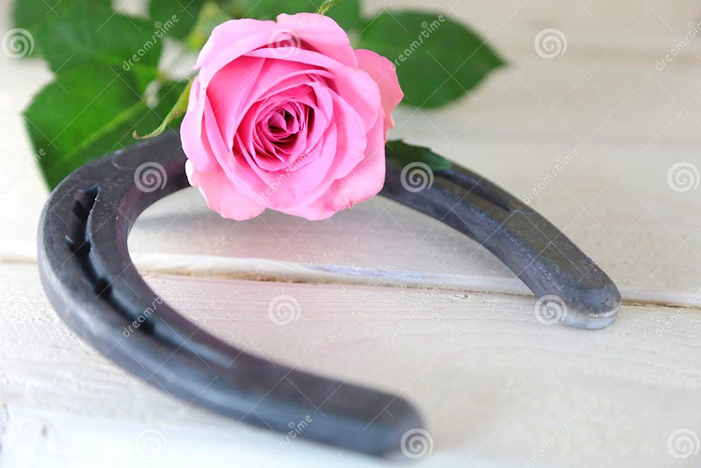 Horseshoe with a rose stock image. Image of pink, lucky - 47433553