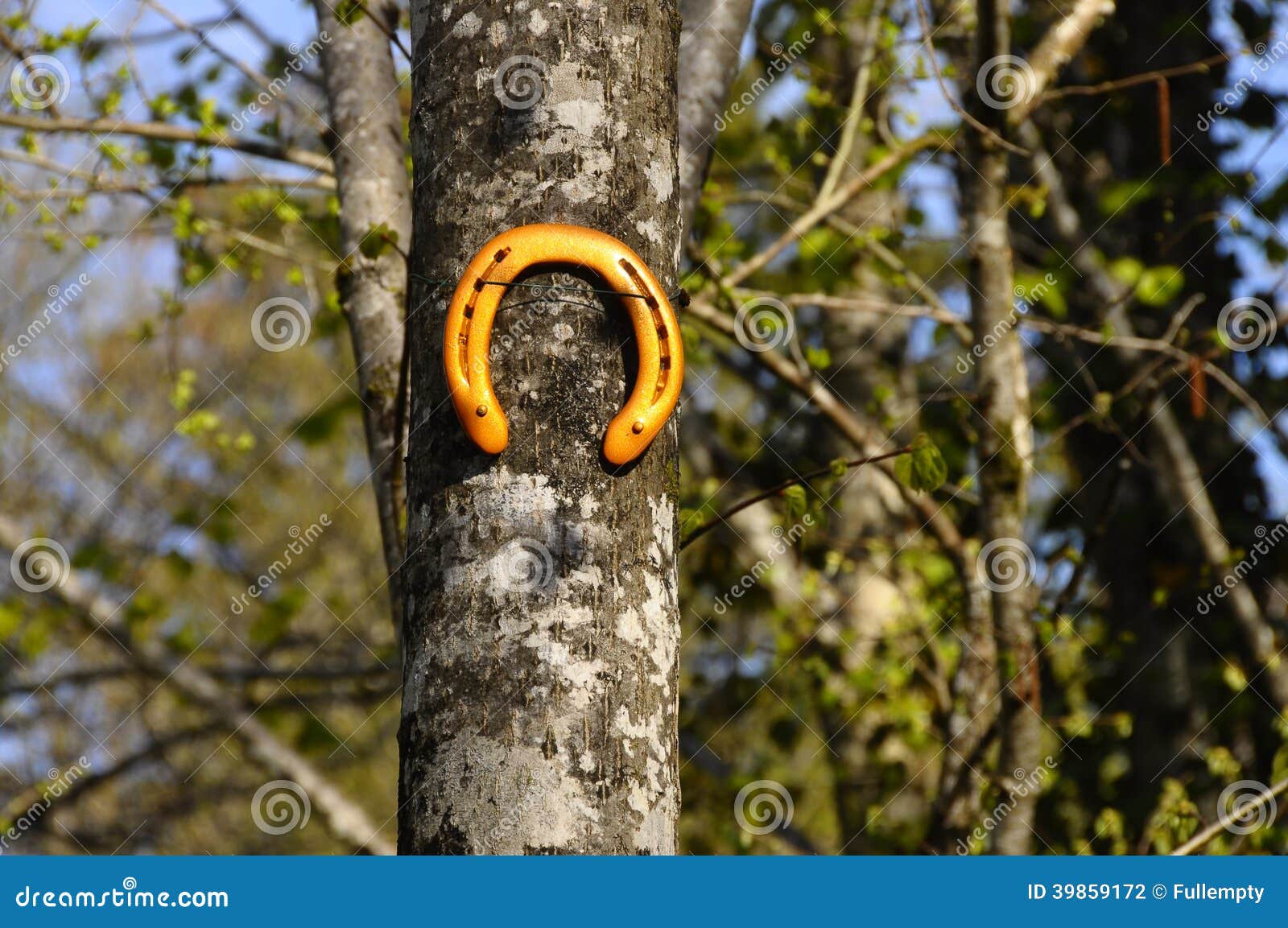 Horseshoe on a tree stock photo. Image of forest, orange - 39859172