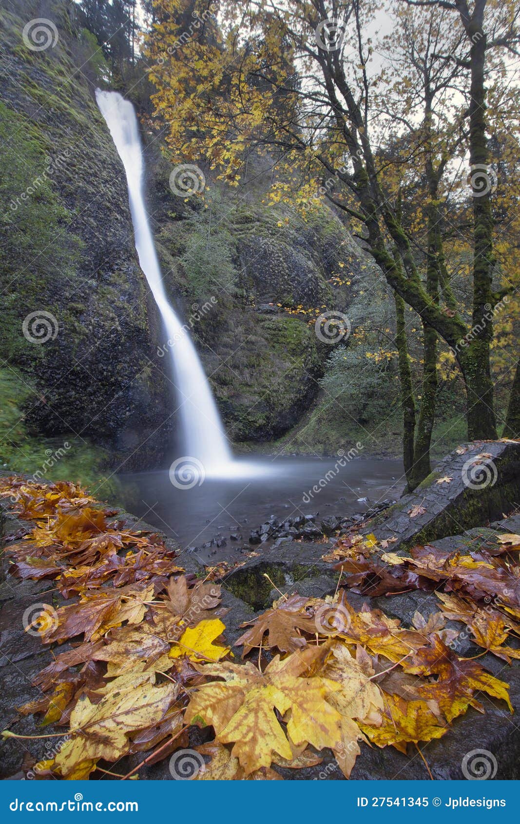 Horsetail Falls Oregon in Fall Stock Image - Image of pacific ...