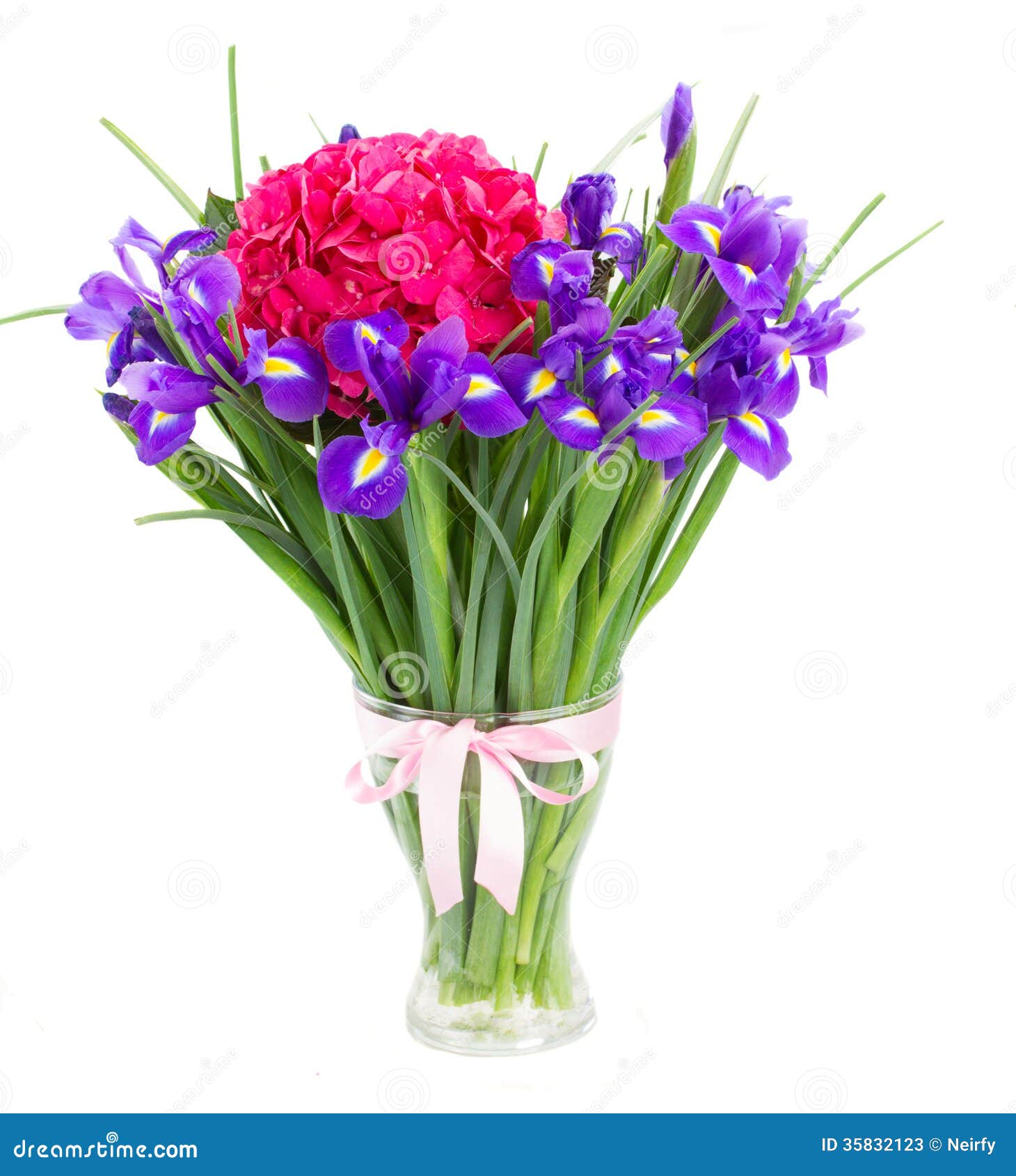 Hortensia Och Irins Blommar I Vas Fotografering för Bildbyråer - Bild ...