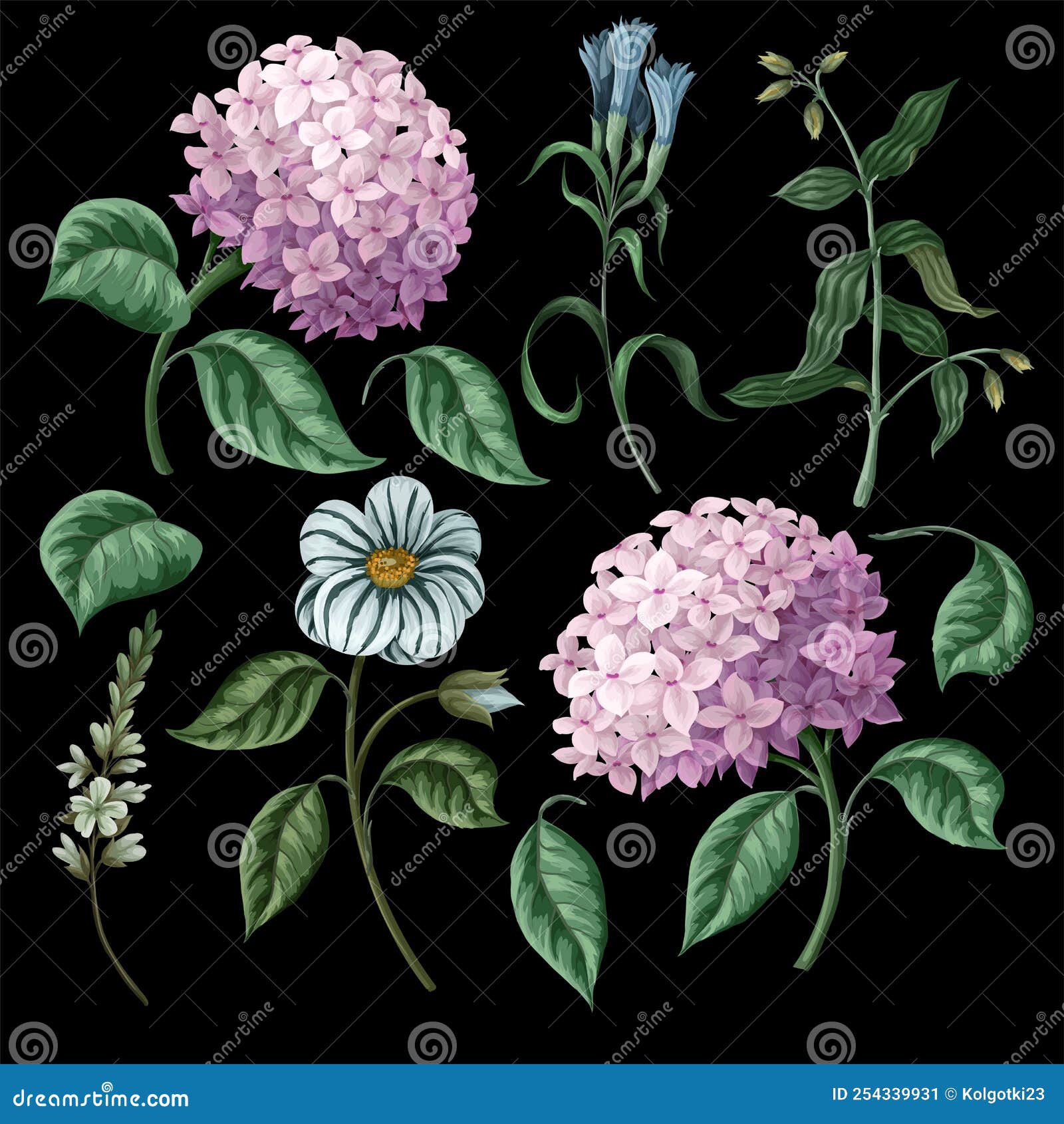 Hortensias Y Otras Flores Aisladas. Vector. Ilustración del Vector ...