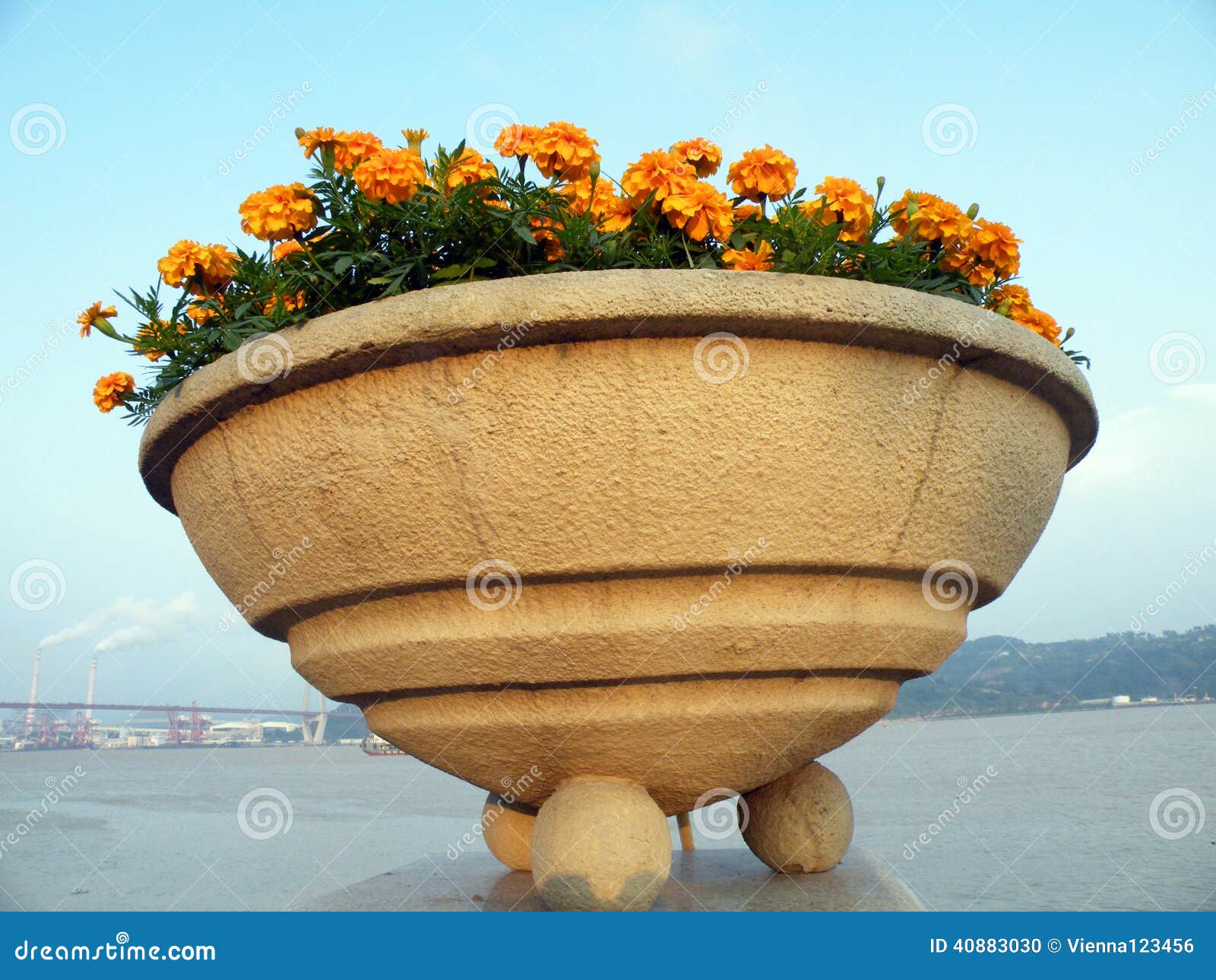 Horticulture stock photo. Image of abstract, texture - 40883030