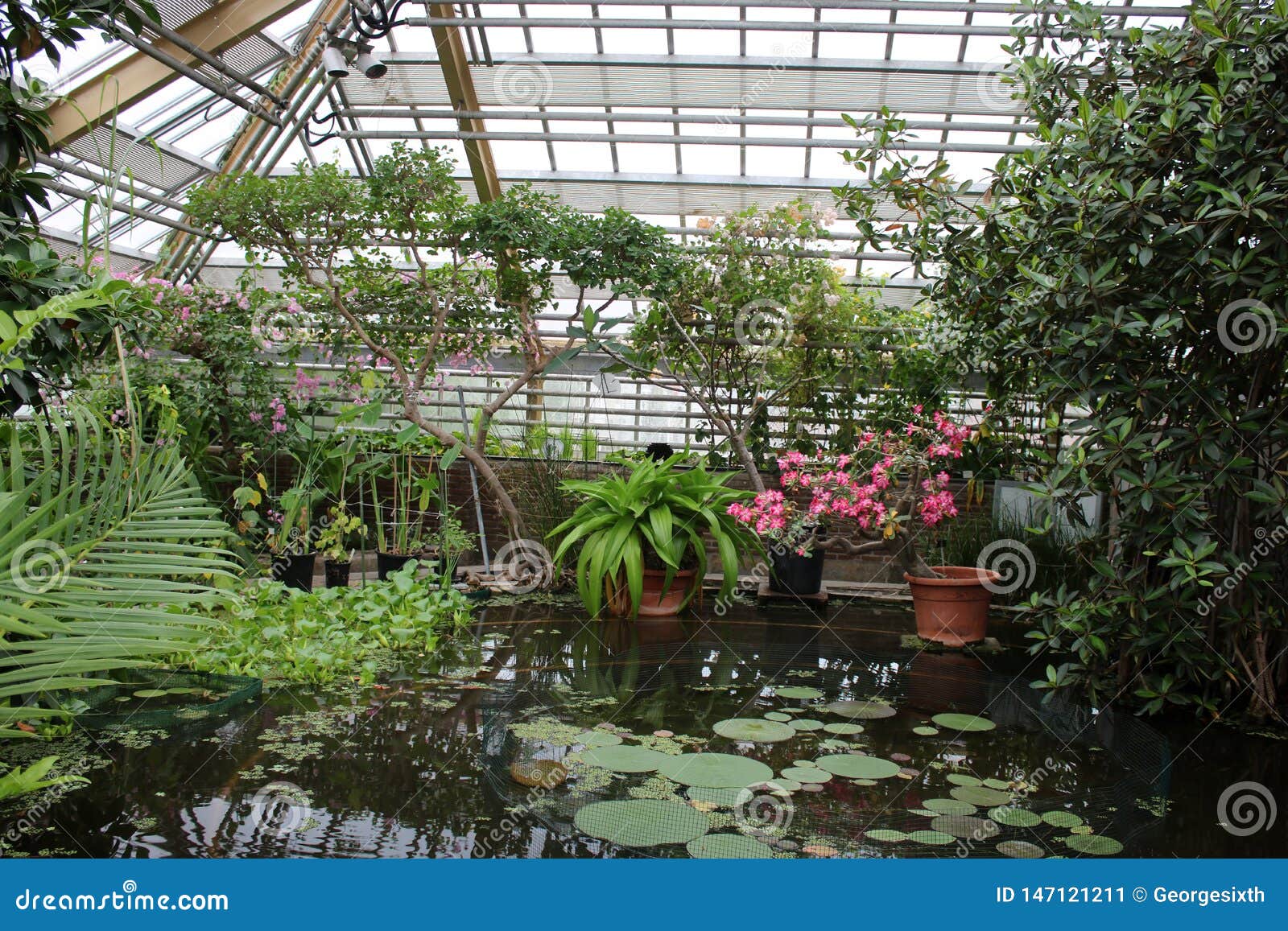 Hortus Botanicus, Botanical Gardens Leiden Editorial Photo - Image of ...