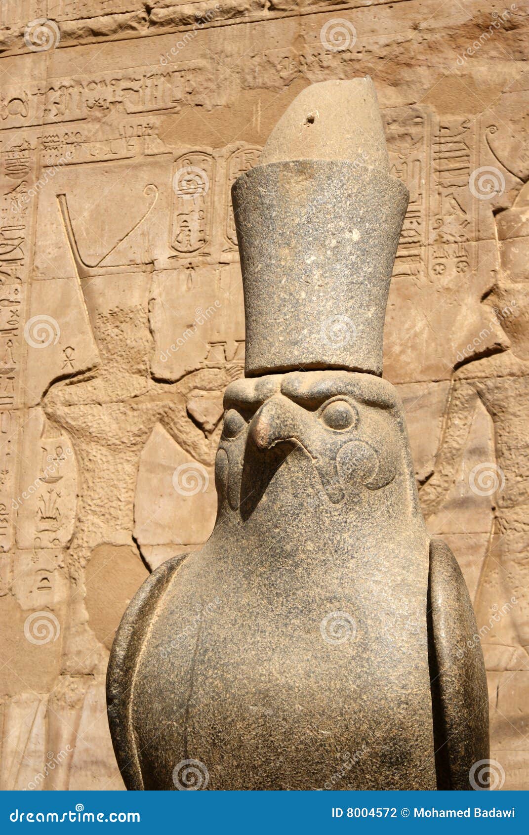 Horus statue stock photo. Image of tourism, strong, outdoor - 8004572