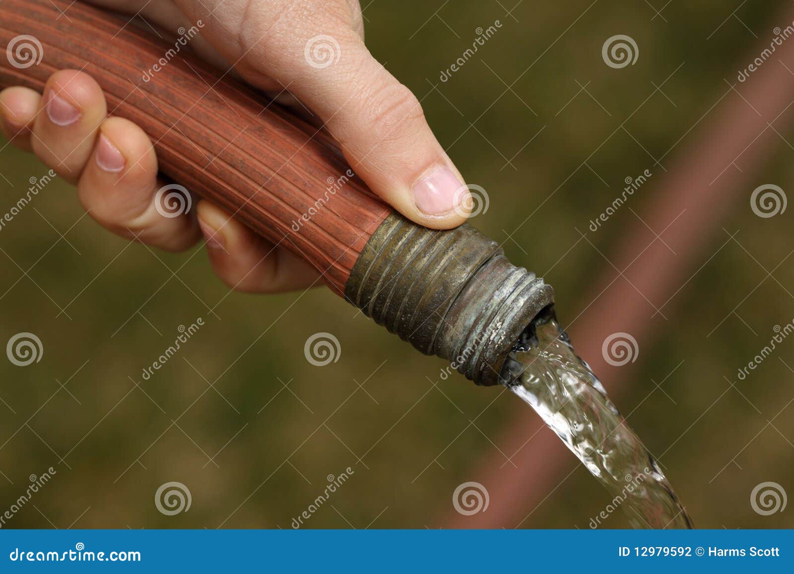 Hose stock photo. Image of thumb, holding, water, hose - 12979592