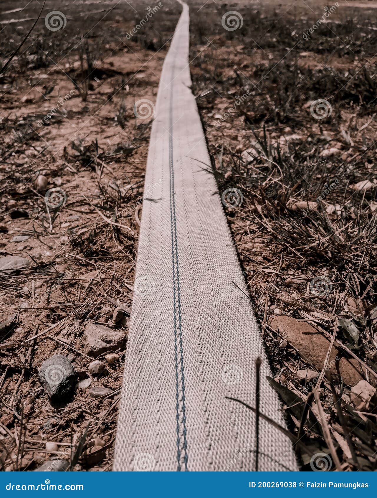 Hose Fire Break for Firefighter Wild Stock Photo - Image of hose ...