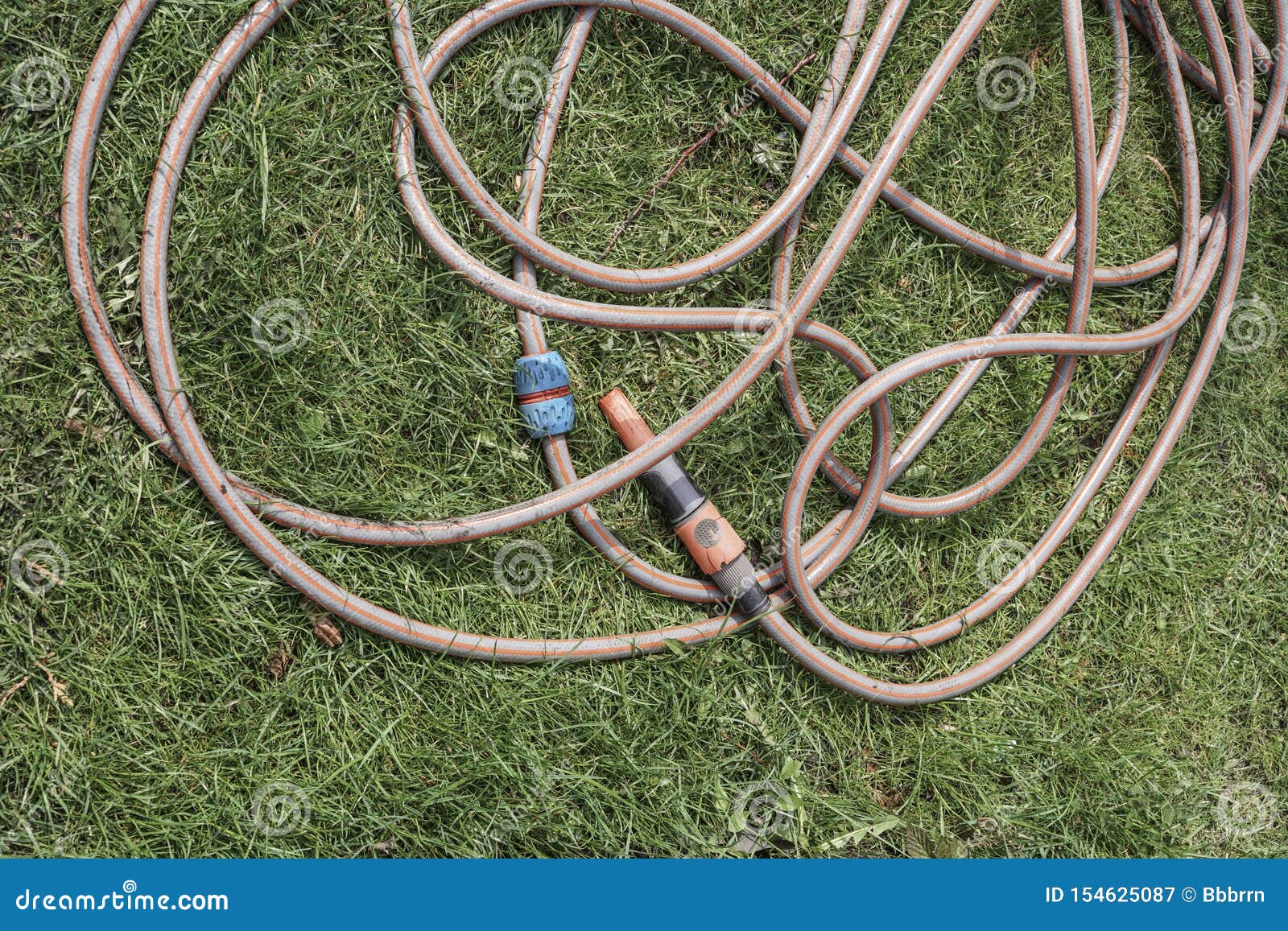 Hose on grass at a garden stock image. Image of hose - 154625087