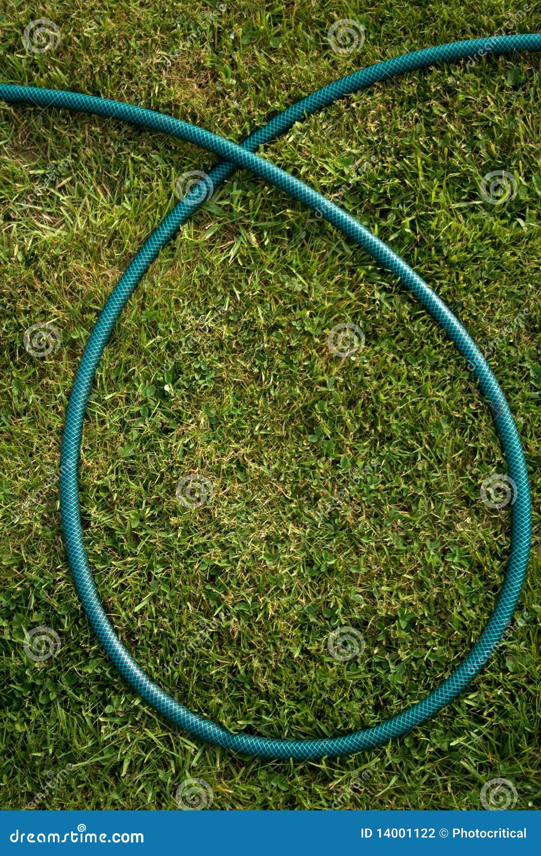 Hose loop stock photo. Image of summer, irrigation, outdoor - 14001122