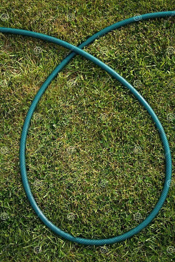 Hose loop stock photo. Image of summer, irrigation, outdoor - 14001122