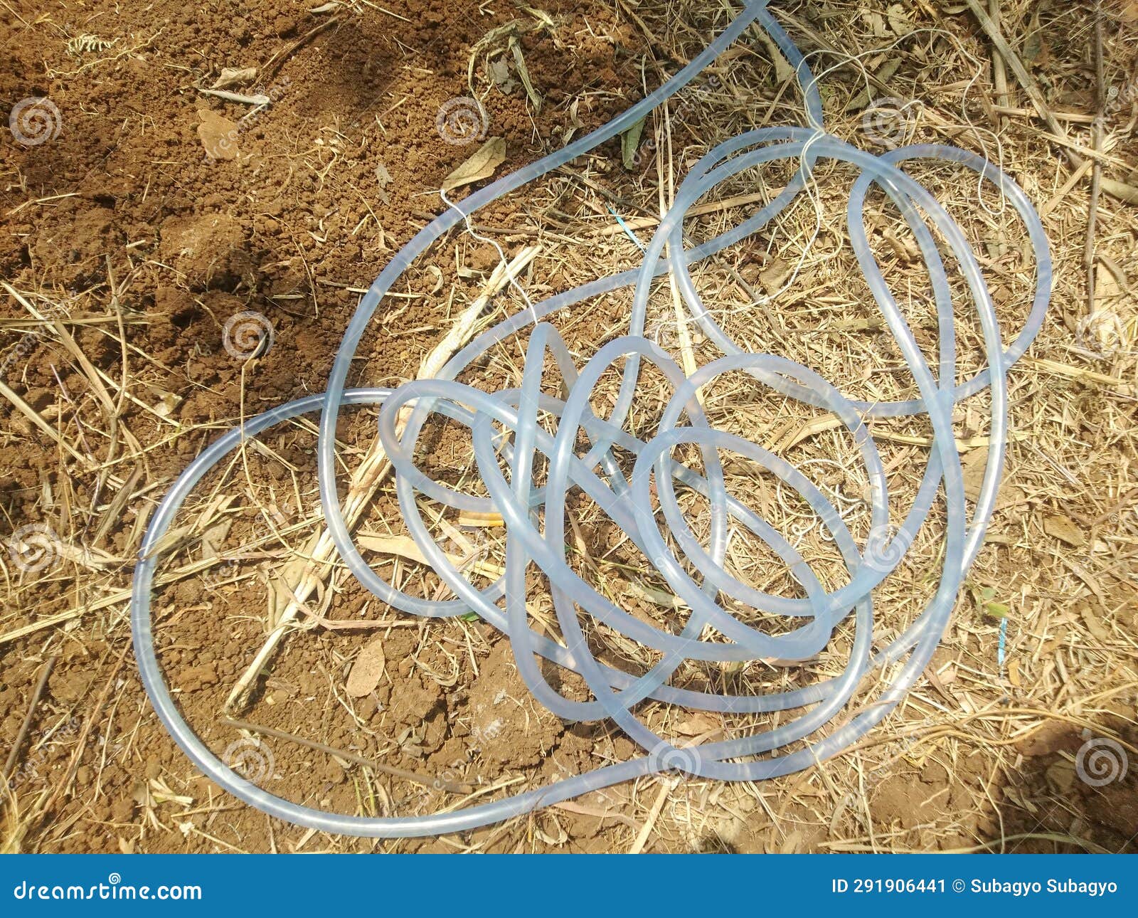 Hose for Measuring the Height of Objects so that they are Level Stock ...