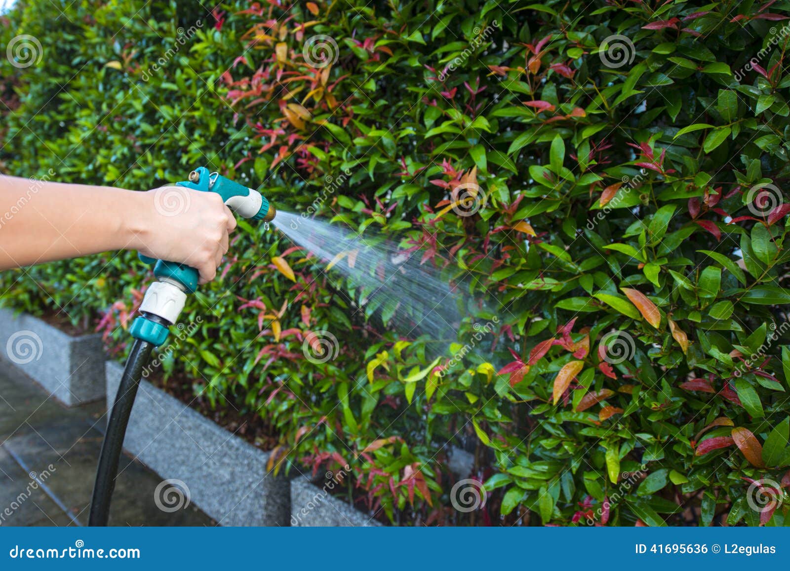Hose nozzle spraying water stock photo. Image of mist - 41695636