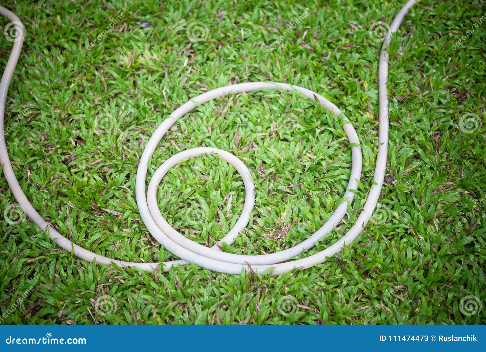 Hose pipe and grass stock image. Image of abstract, clean - 111474473