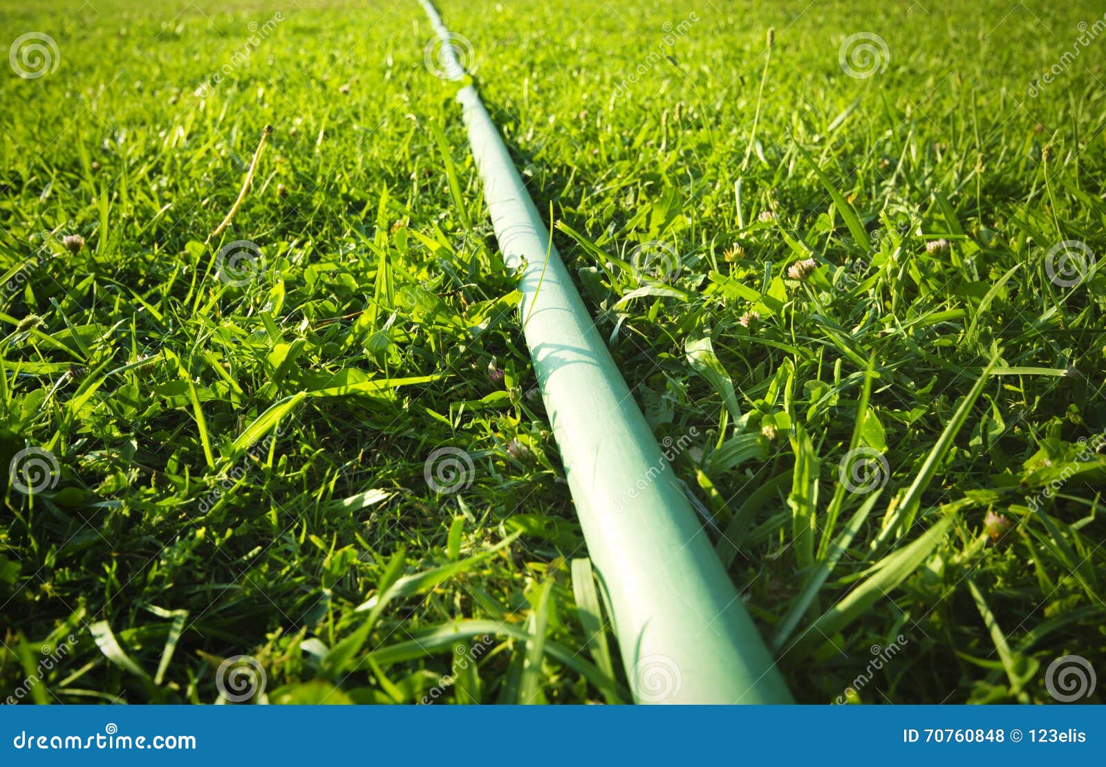 Hose Pipe stock photo. Image of reel, round, tube, gardening - 70760848