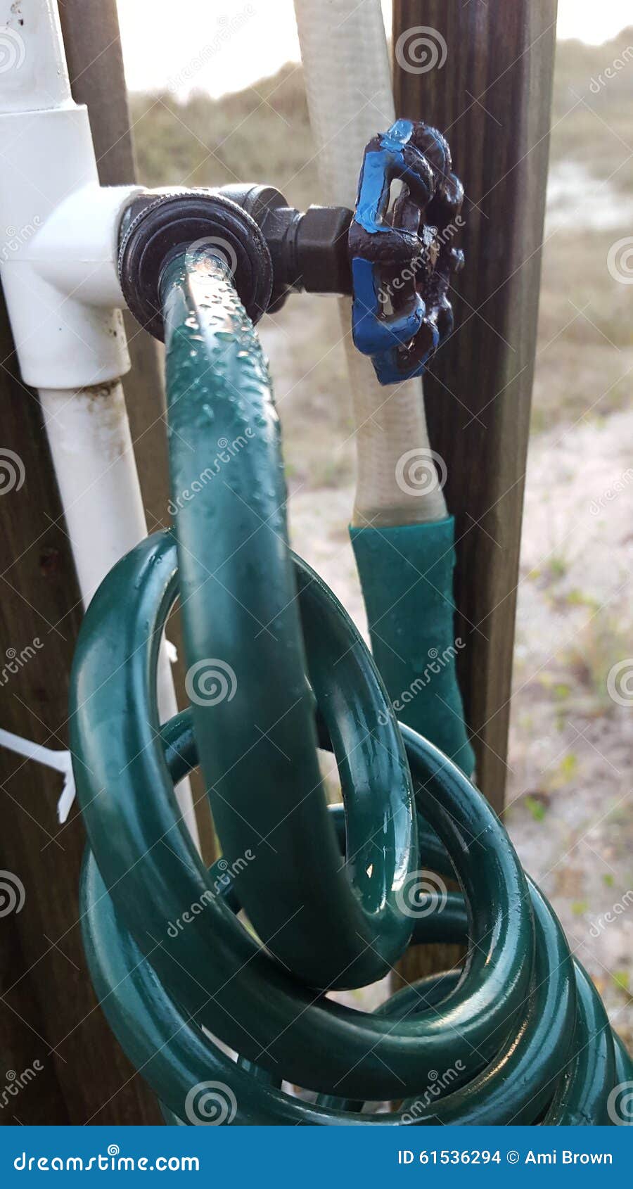 Hose Spout stock photo. Image of spout, rain, curled - 61536294