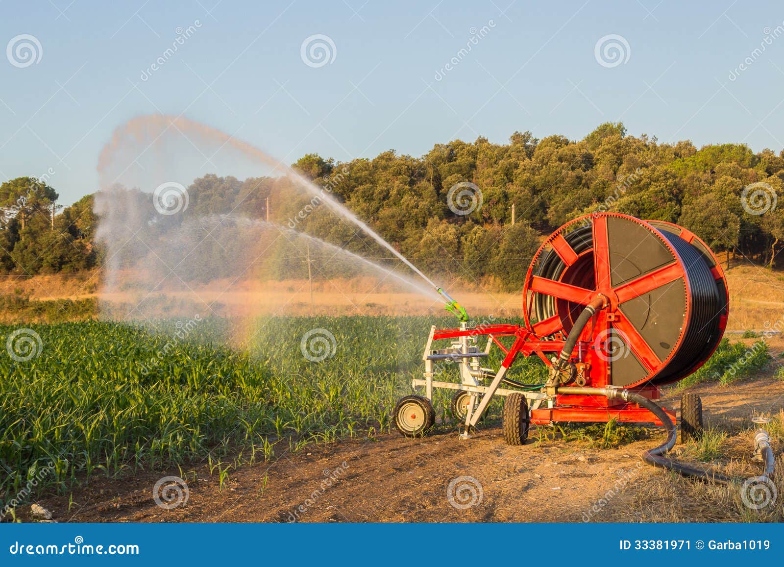 Hose stock image. Image of farm, outside, plant, field - 33381971