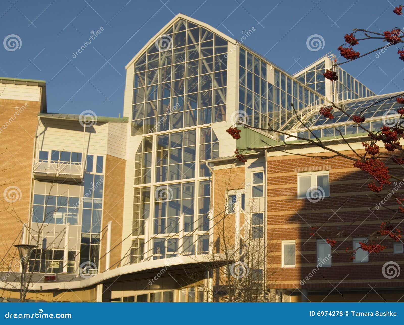 Hospital stock photo. Image of clinic, industrial, business - 6974278