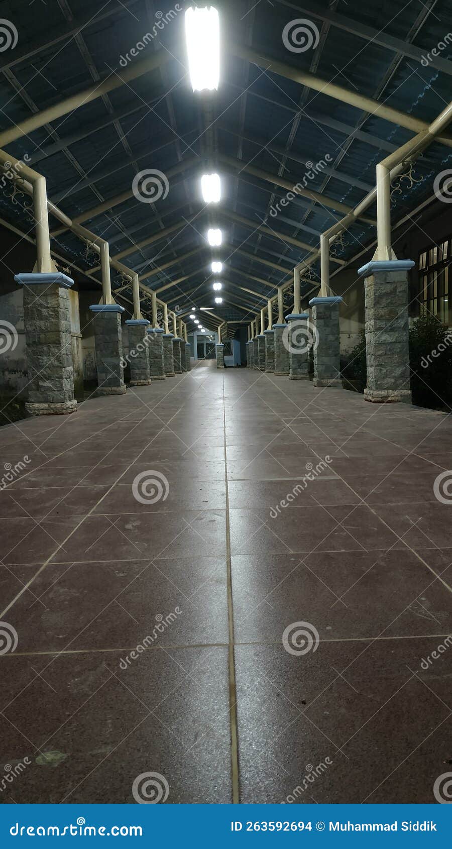 Hospital corridor at night stock photo. Image of haunted - 263592694