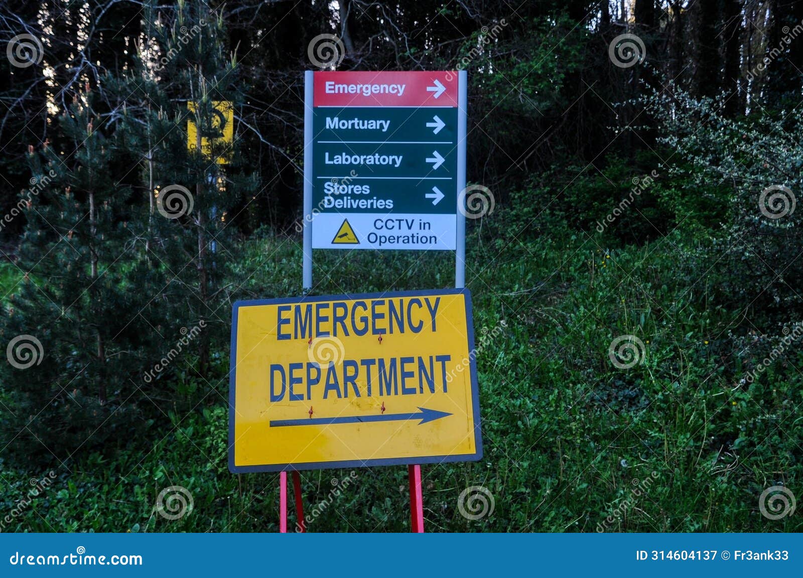 Hospital stock image. Image of nurse, medics, health - 314604137