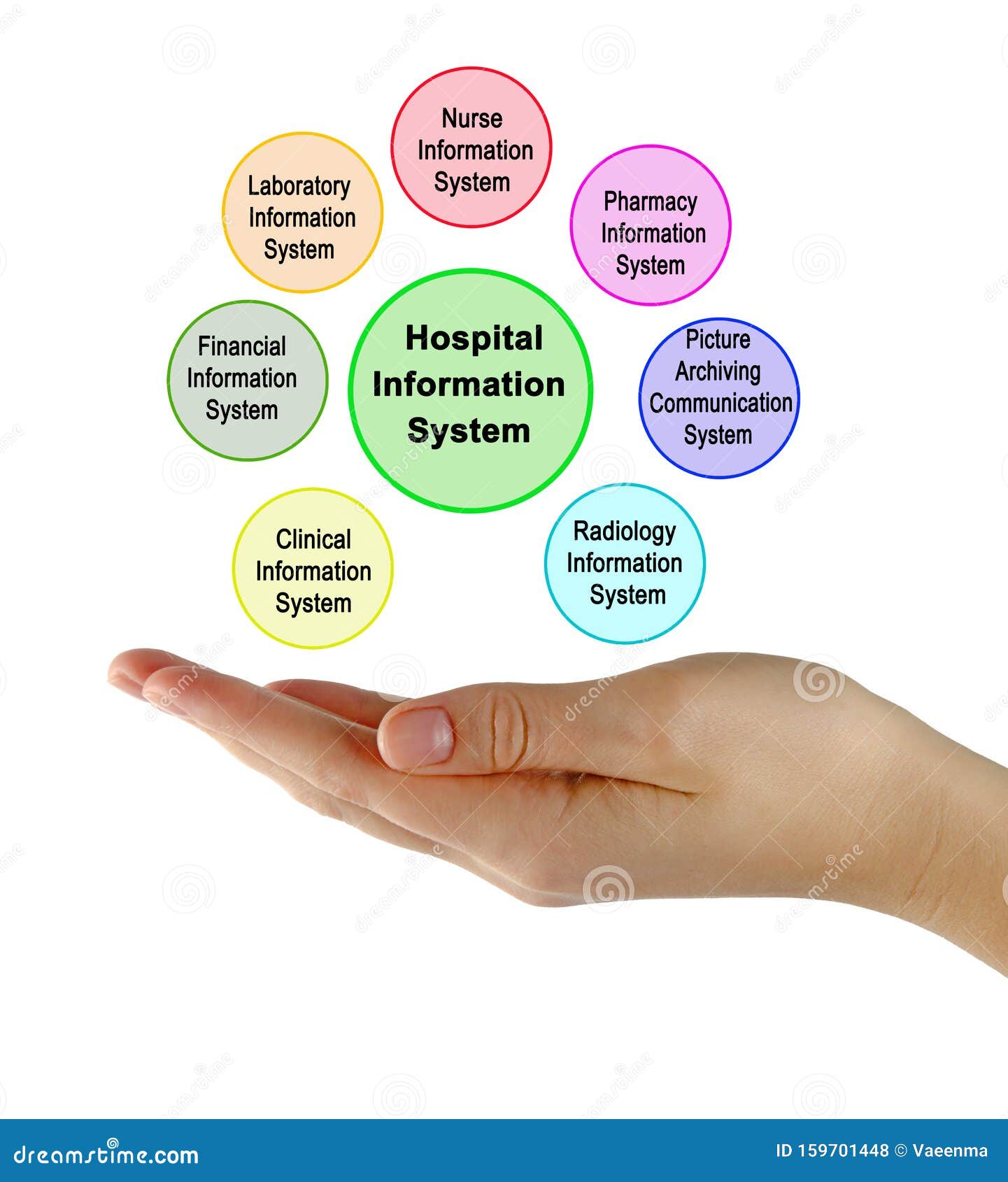 Hospital Information System Stock Photo - Image of palm, medical: 159701448