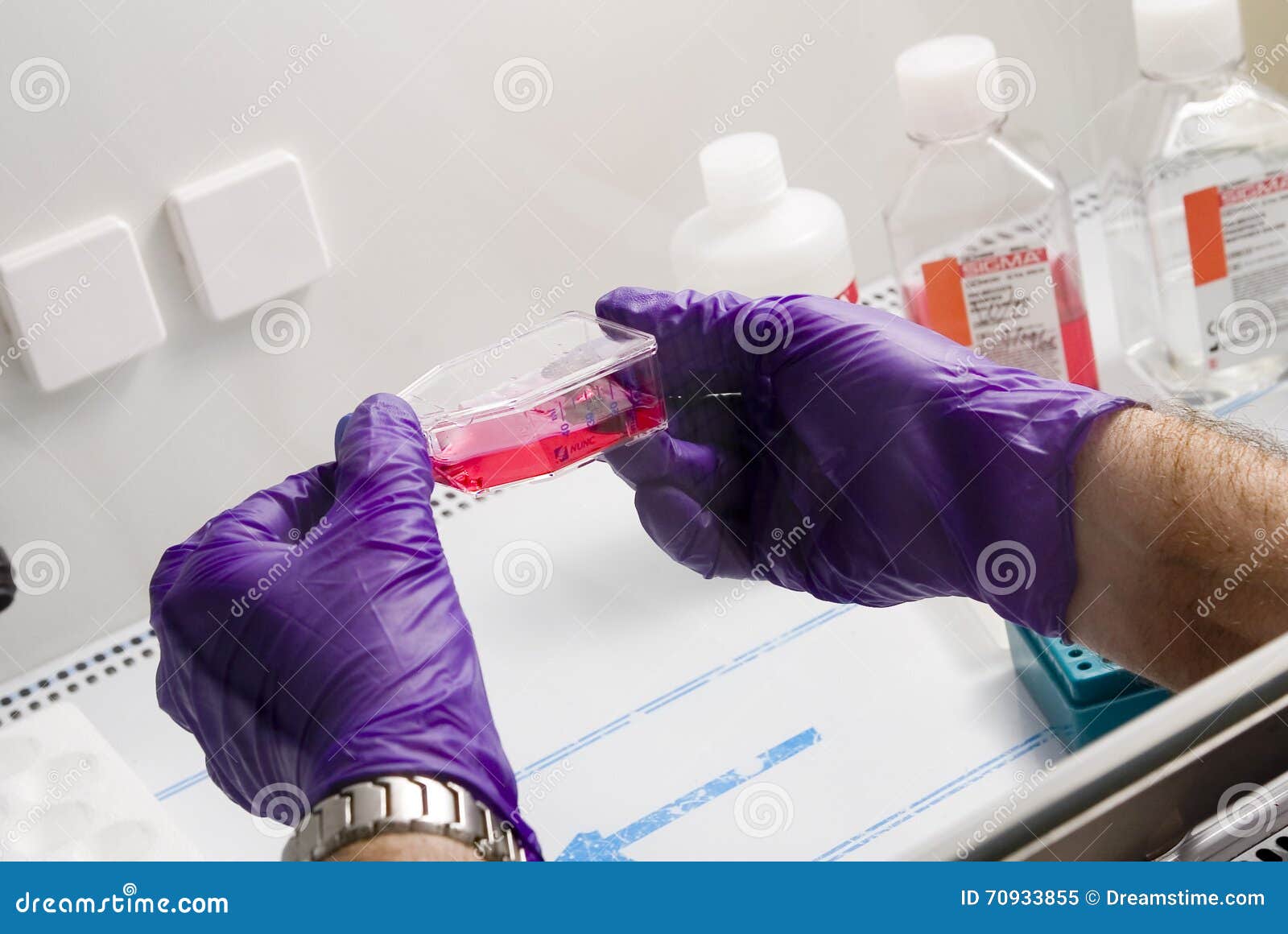 Hospital Laboratory Sample Testing Stock Image - Image of beaker ...