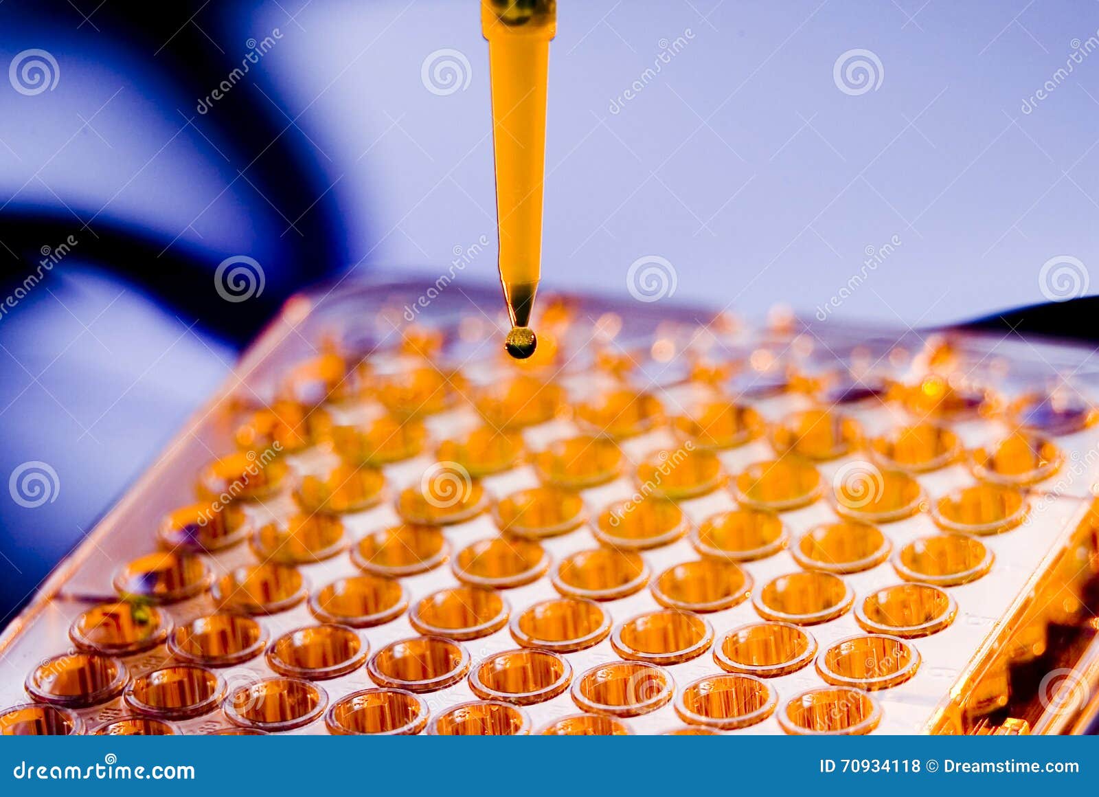 Hospital Medical Sample Tray Pipette Testing Laboratory Stock Photo ...