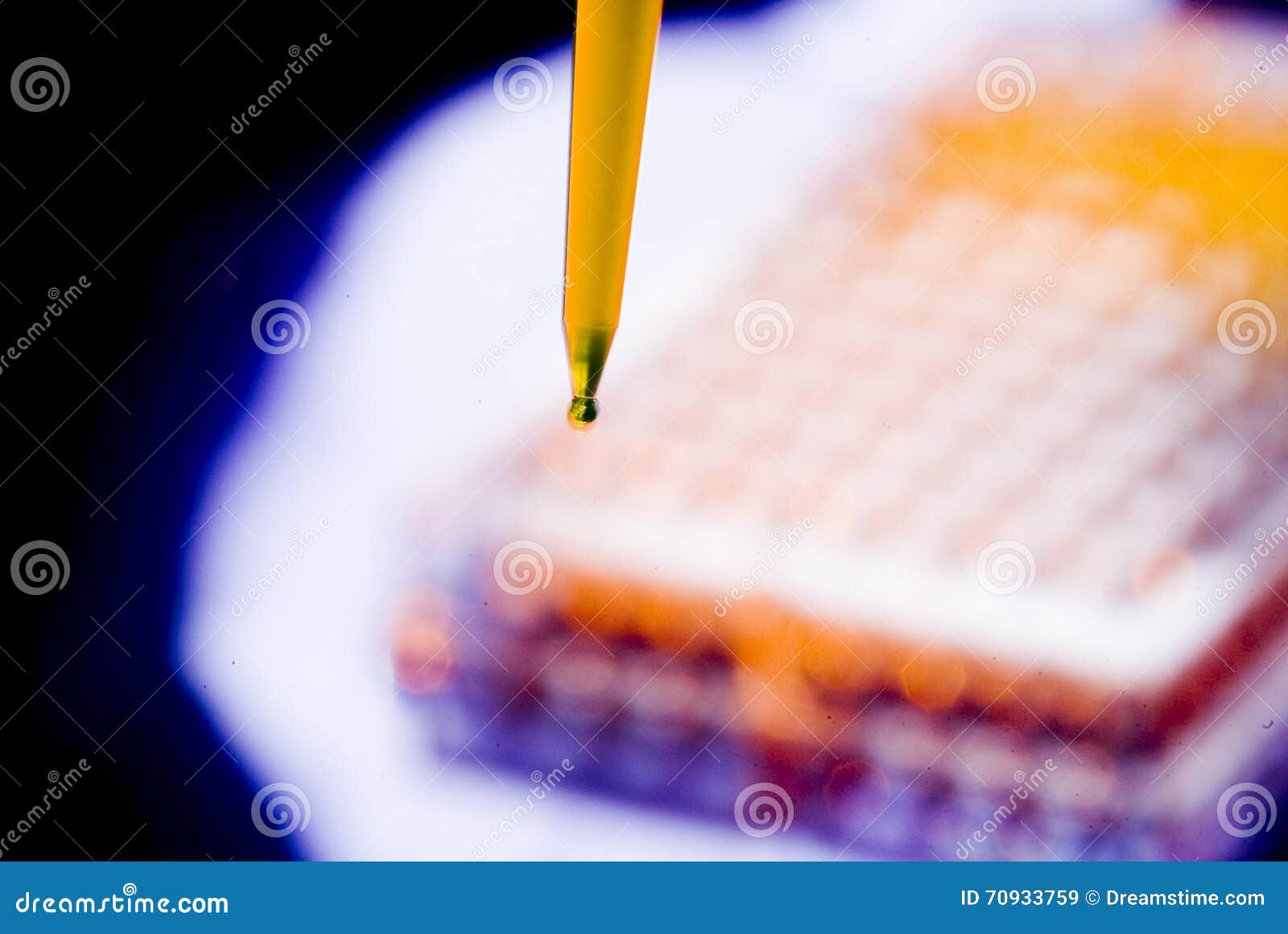 Hospital Medical Sample Tray Pipette Testing Laboratory Stock Image ...