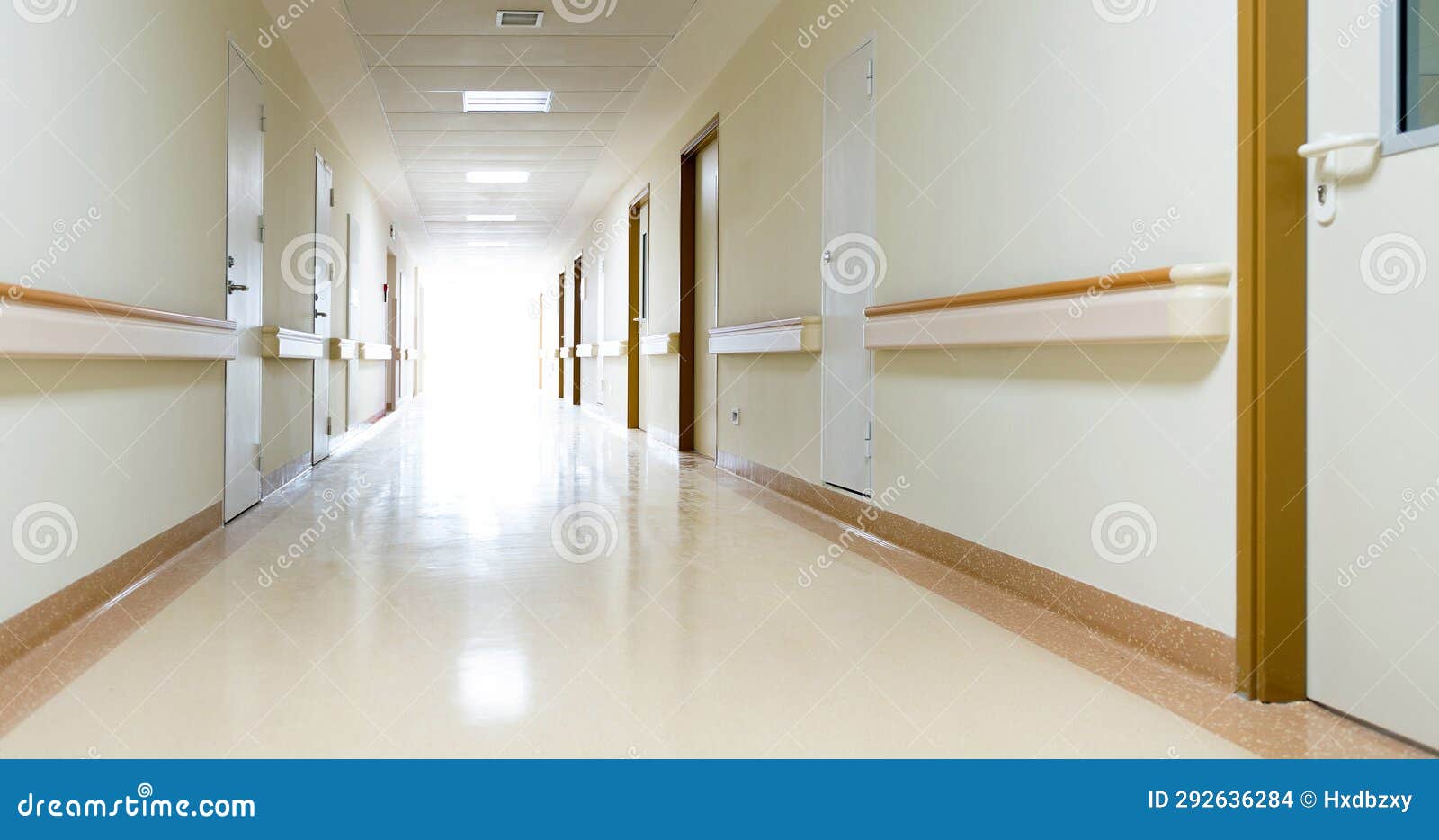 Hospital Research Lab Hallway Stock Photo - Image of floor, door: 292636284