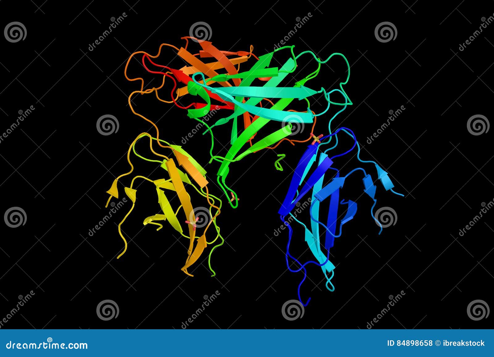 Host Cell Factor C1, a Protein Involved in Control of the Cell C Stock ...