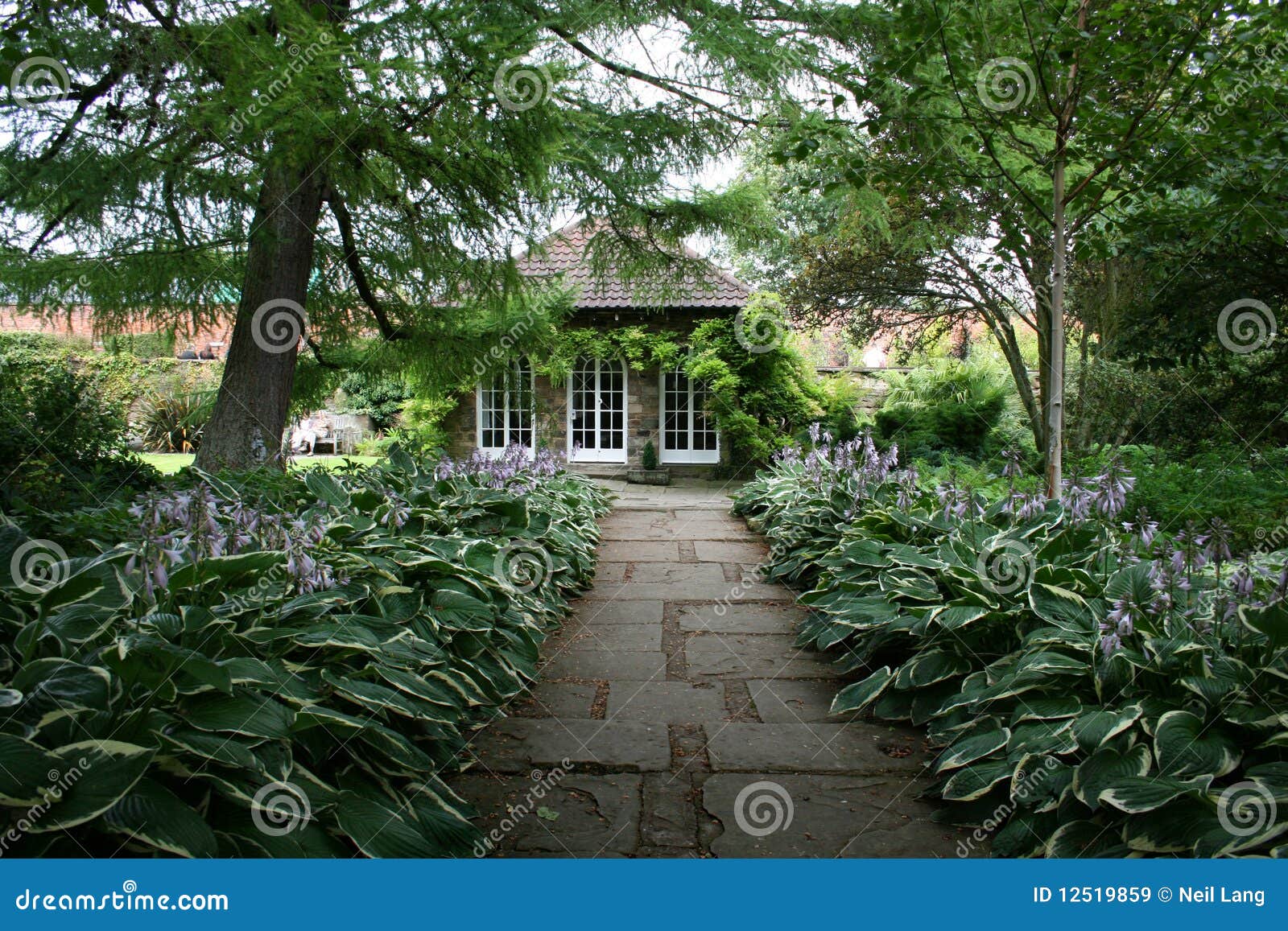 Hosta lined pathway stock image. Image of brick, landscaping - 12519859