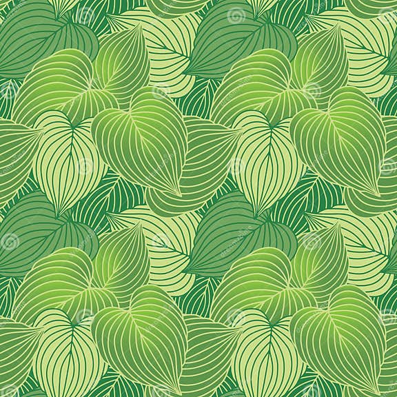 Hosta Pattern_Green stock vector. Illustration of leaf - 10226490