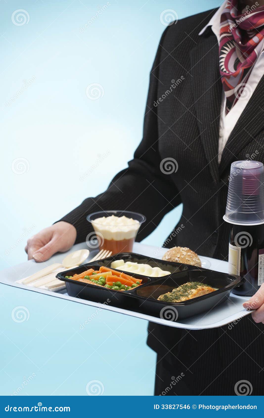 Hostess Holding Tray with Airplane Food Fotografia Stock - Immagine di ...