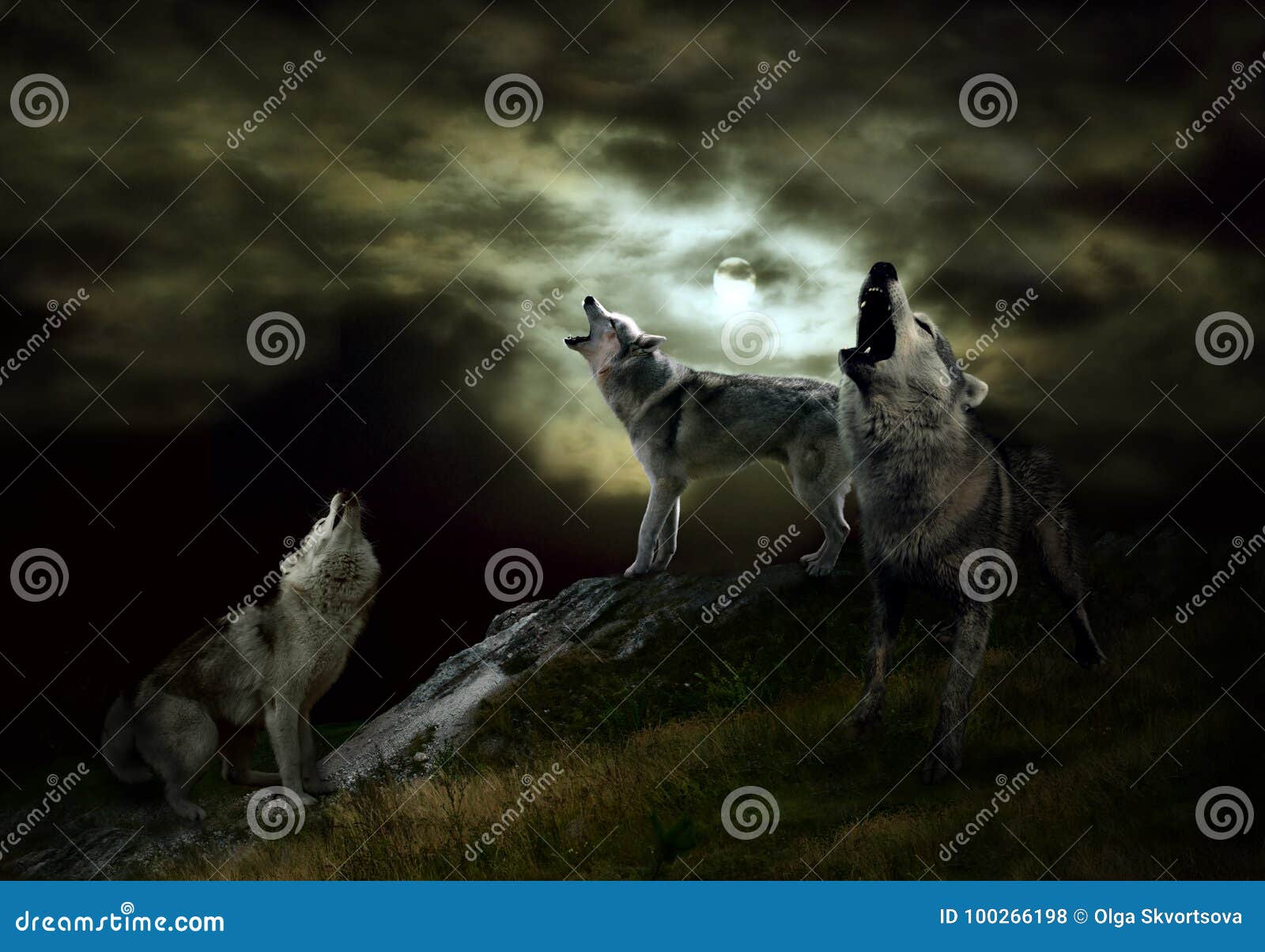 The Hosts of the Night are Wolves Stock Photo - Image of night, flock ...