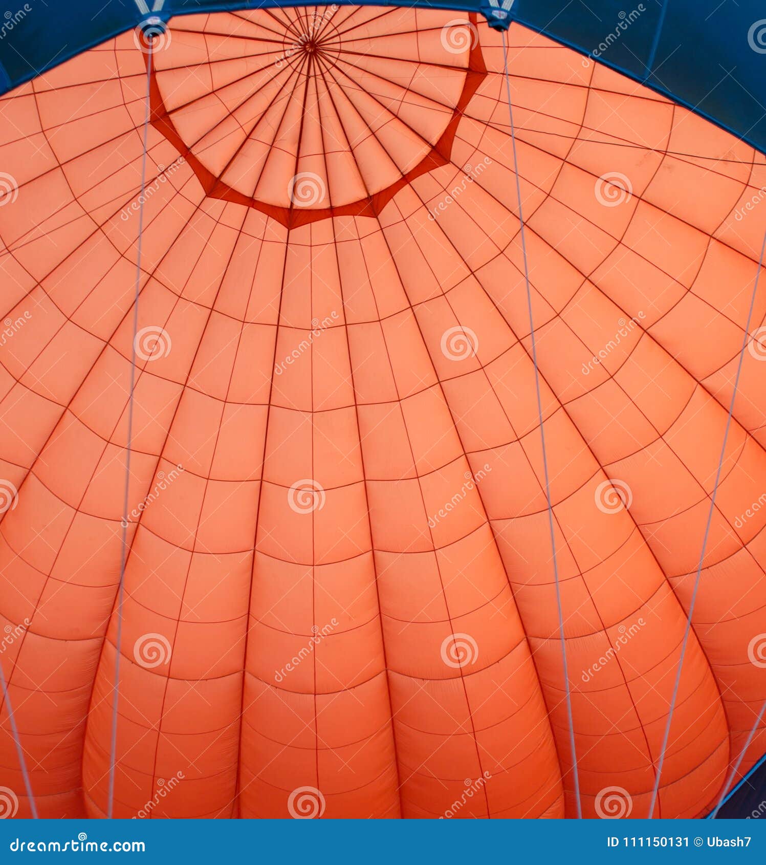 Ballooning Cell Stock Photos - Free & Royalty-Free Stock Photos from ...