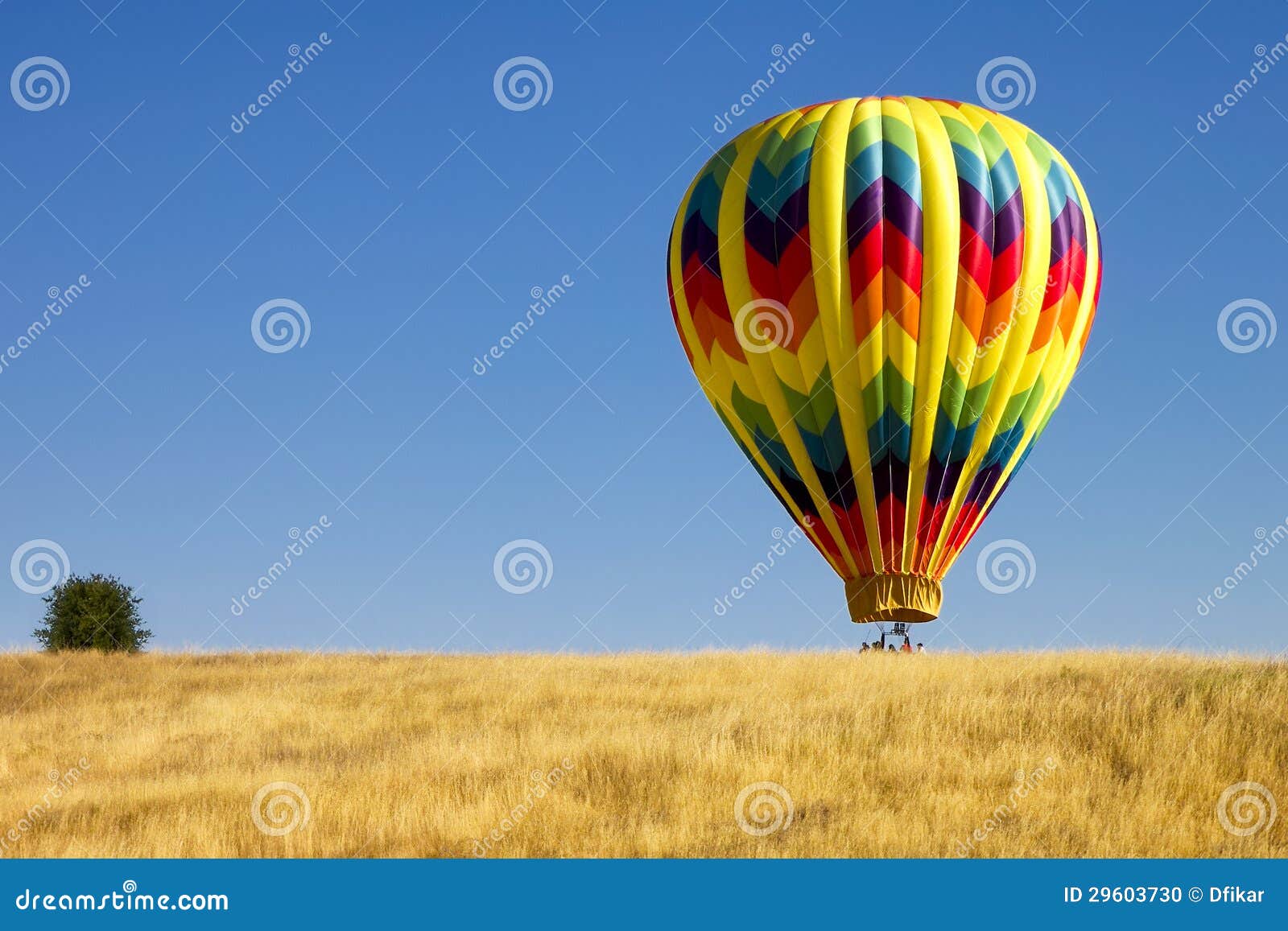Hot Air Balloon in a Field stock photo. Image of inflated - 29603730