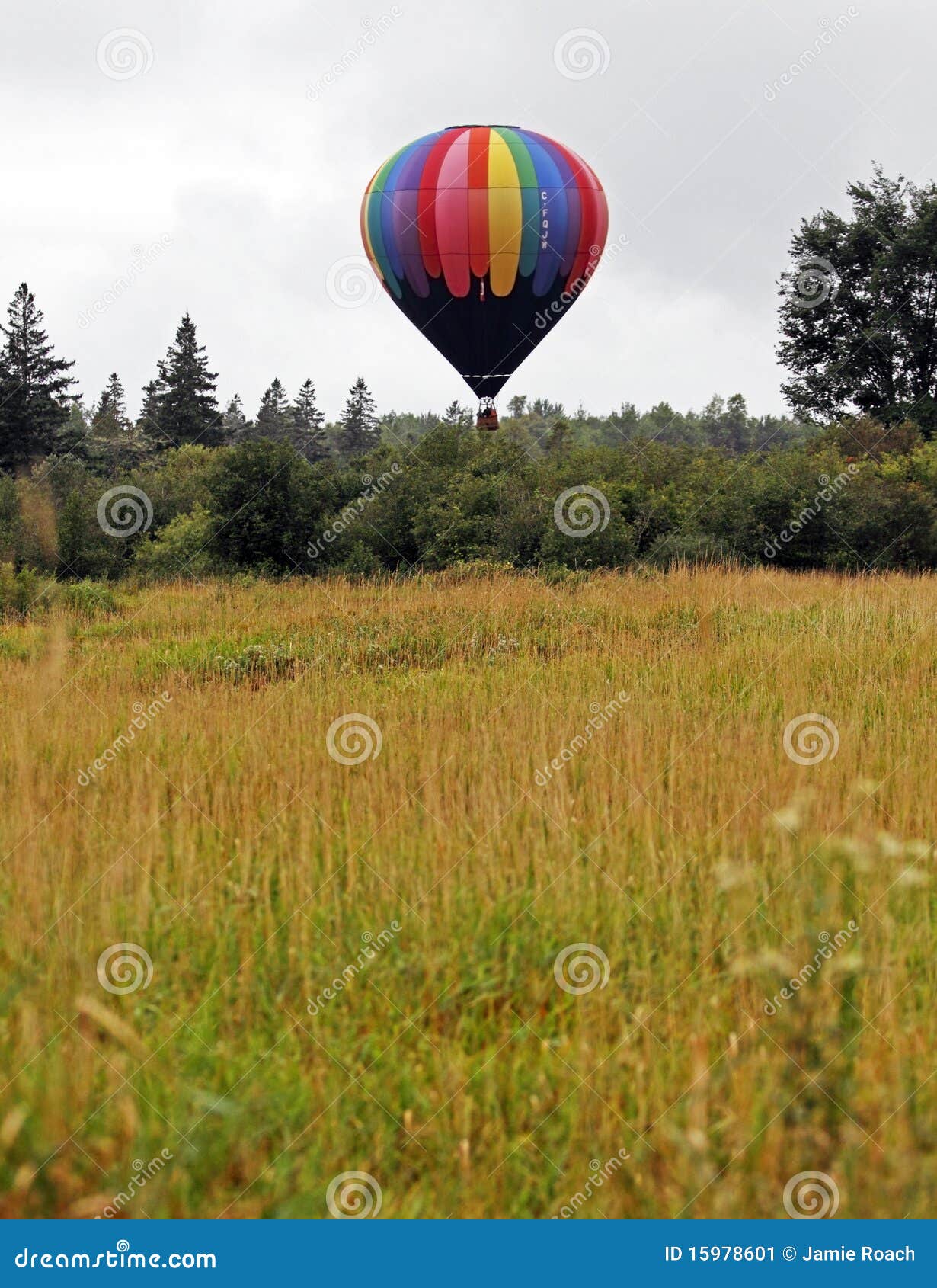Hot Air Balloon Field Trees Editorial Photo - Image of international ...