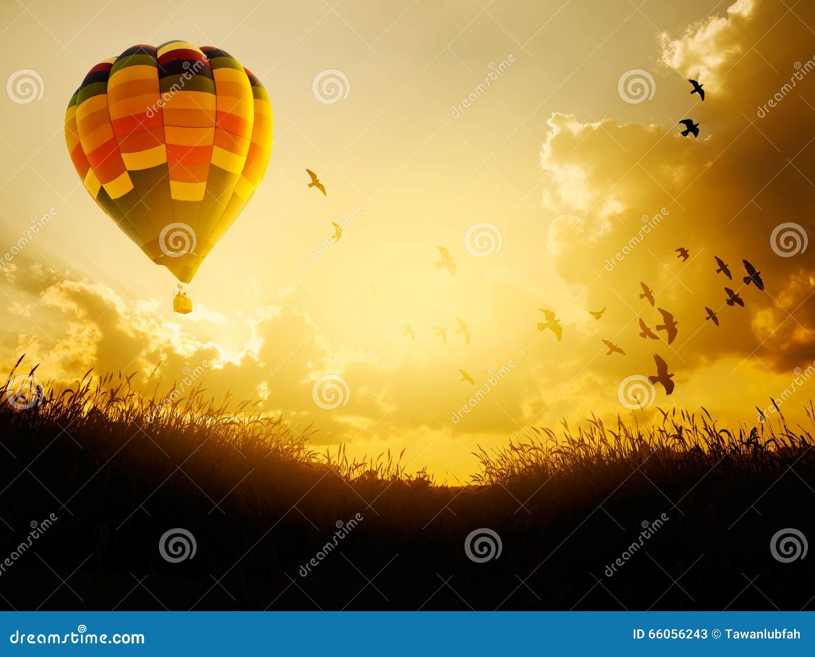 Hot Air Balloon Flying with Birds in Sunset Sky, Stock Image - Image of ...