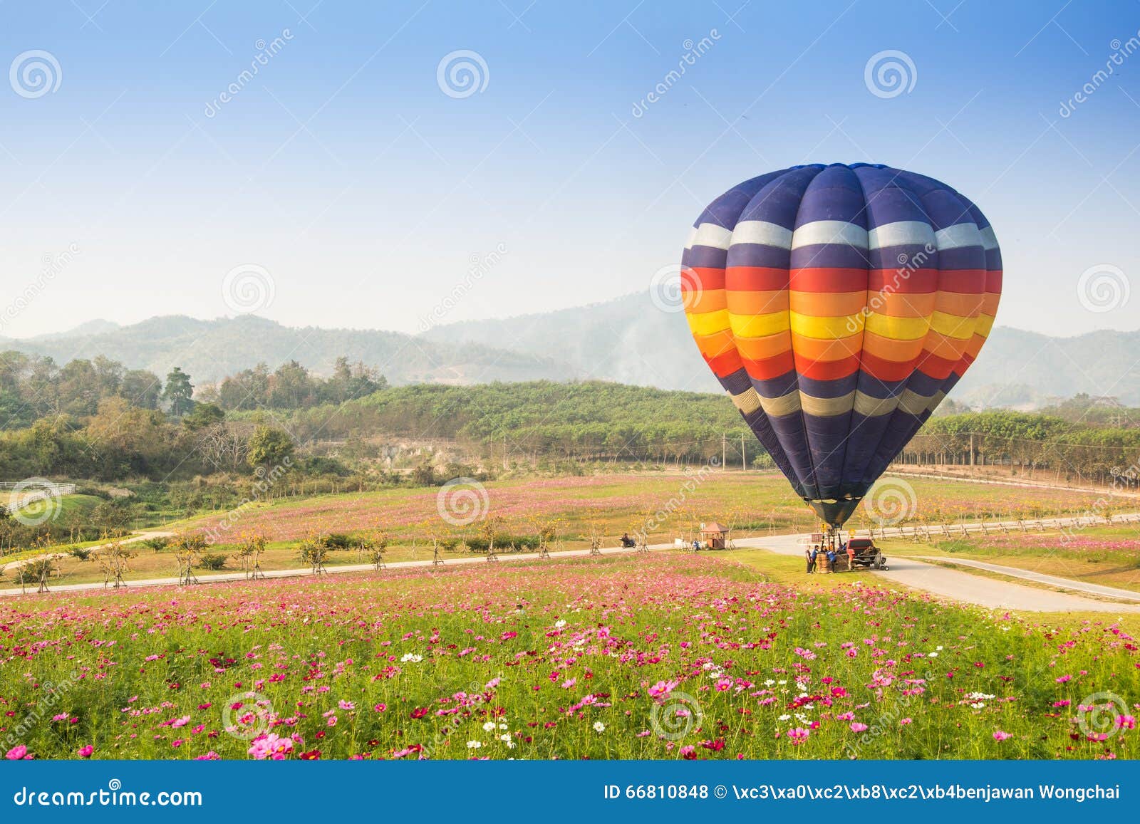 Hot air balloon stock photo. Image of flower, balloons - 66810848