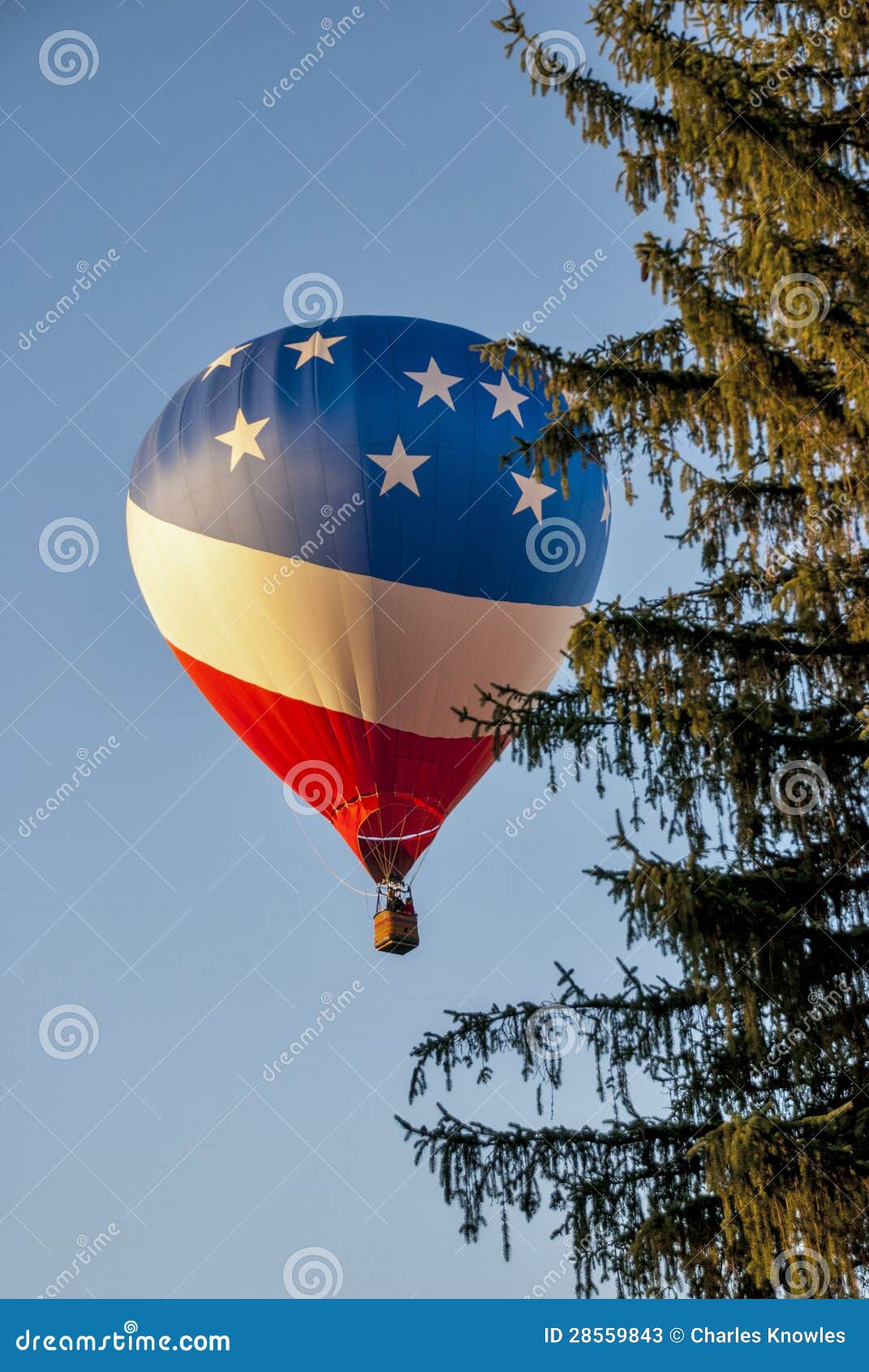 Hot Air Balloon and Pine Tree Stock Image - Image of basket, trees ...