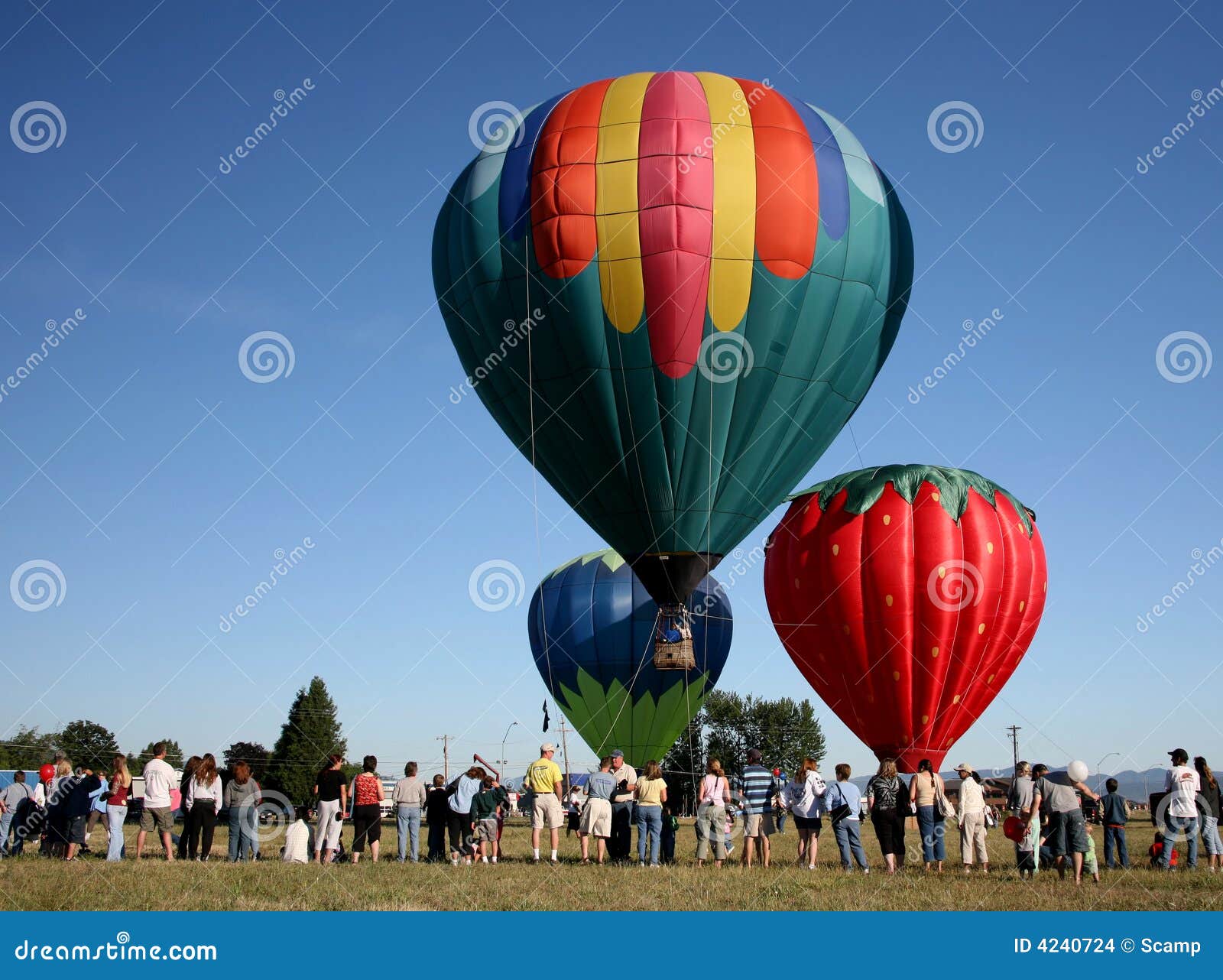 Hot Air Balloon Rally editorial stock image. Image of skyward - 4240724
